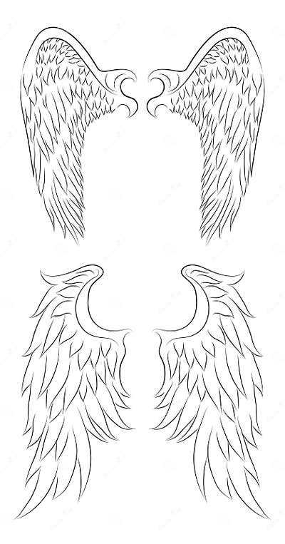 Set of Different Contour Drawing of an Angel Wings. Stock Vector ...
