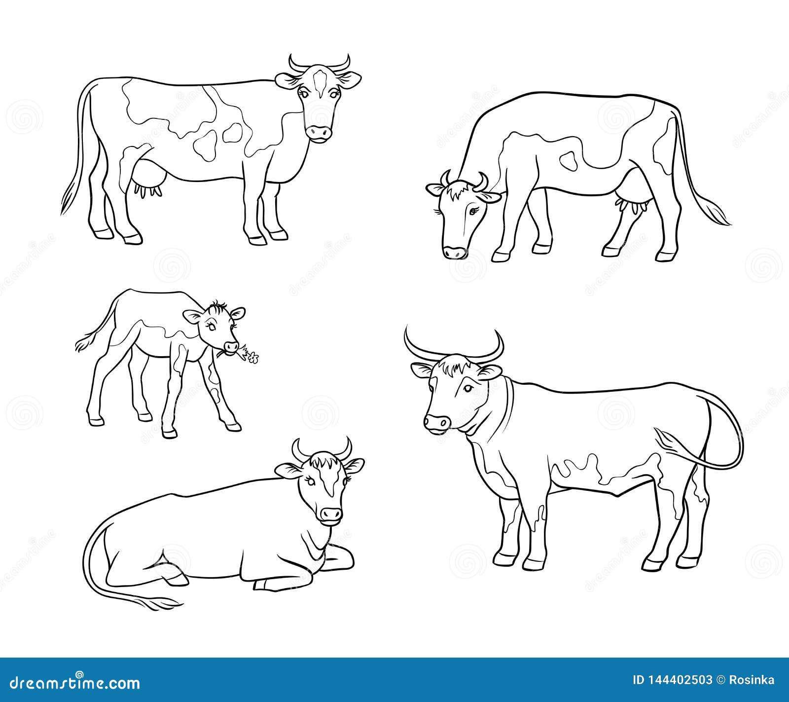 Set of Different Cows in Outlines - Vector Illustration Stock Vector ...