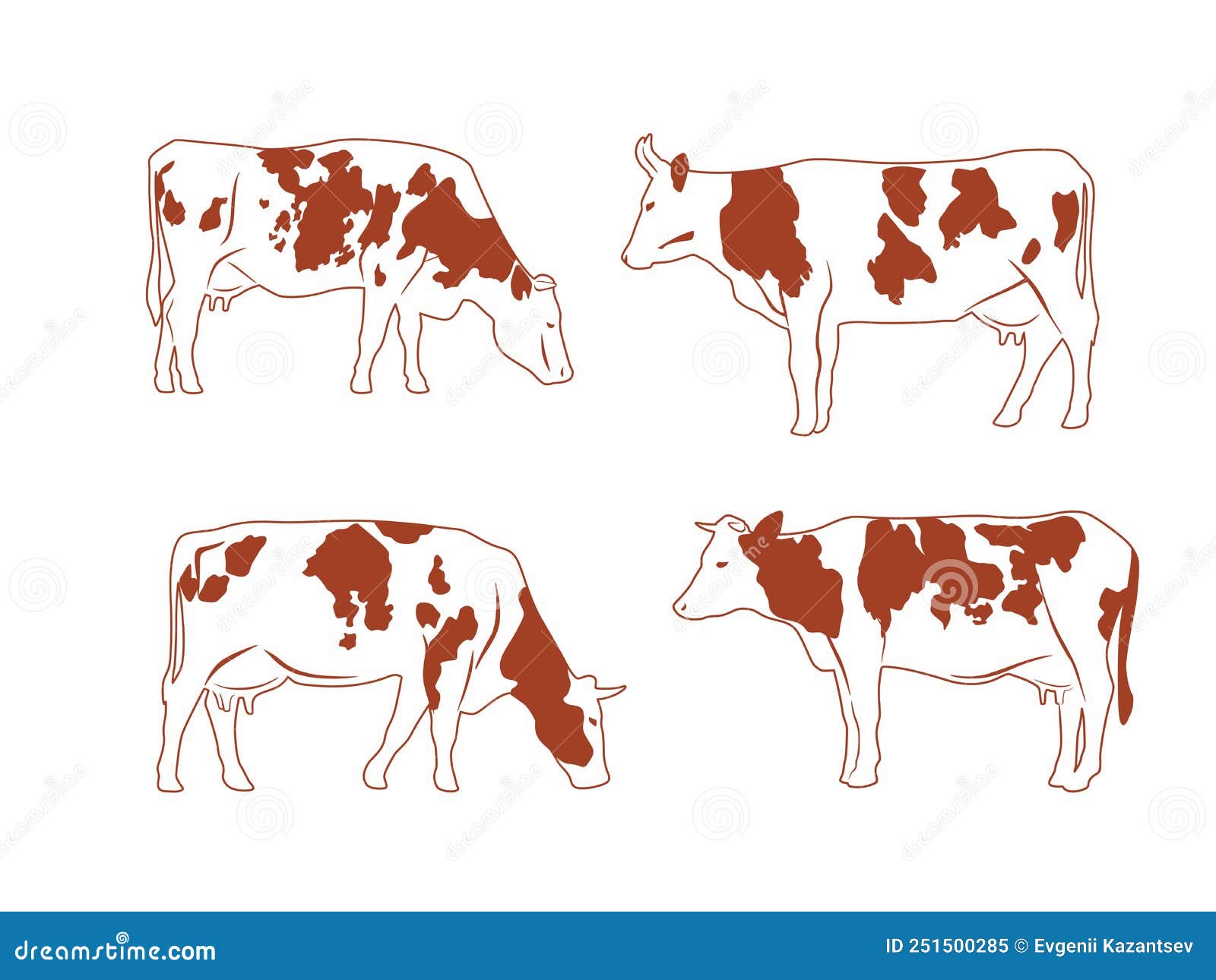 Cows Graphics Illustration Farm Animals Hereford Calf Royalty-Free ...