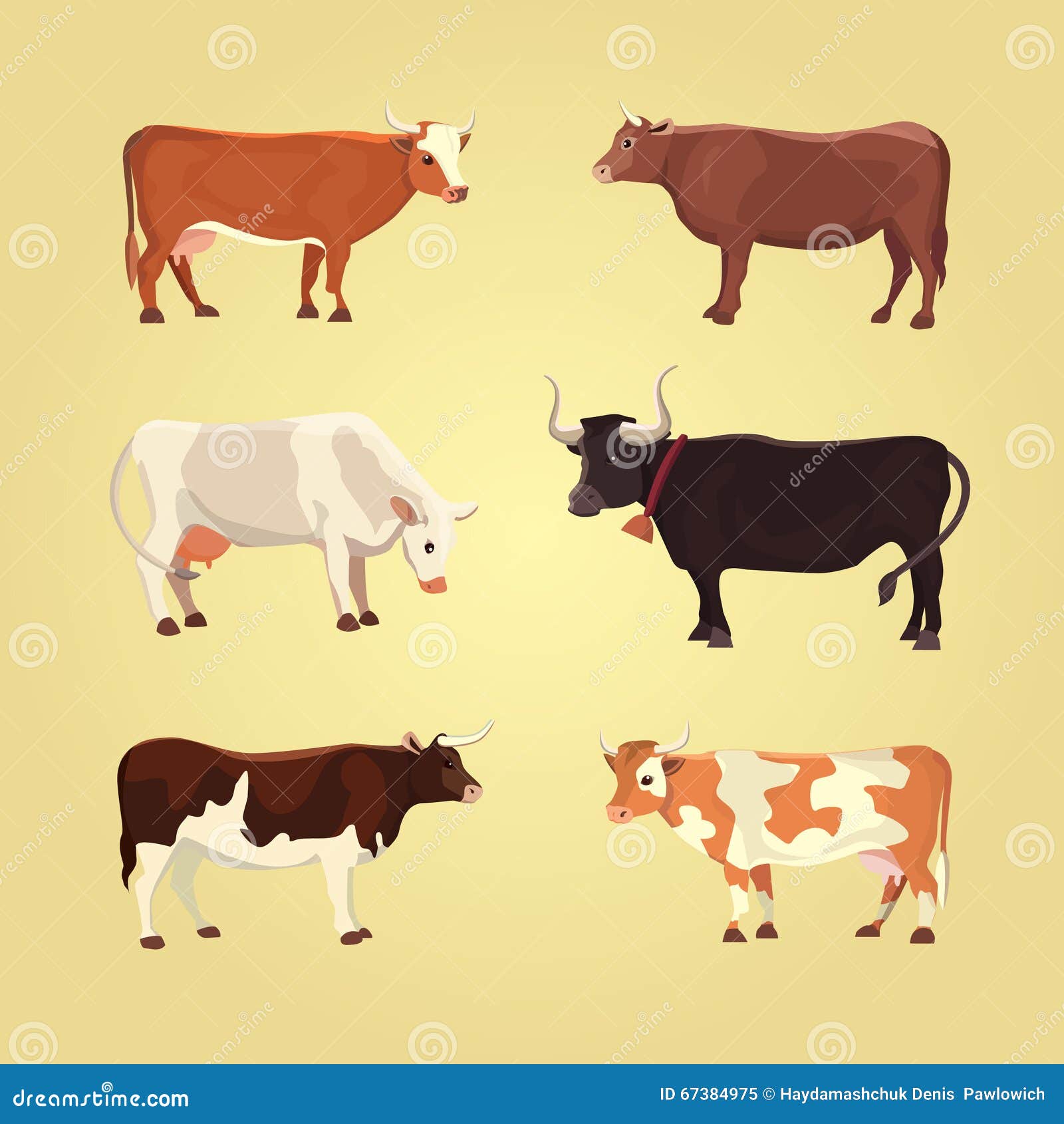 Set of Different Cows, . Vector Illustration. Eps 10. Stock Vector ...