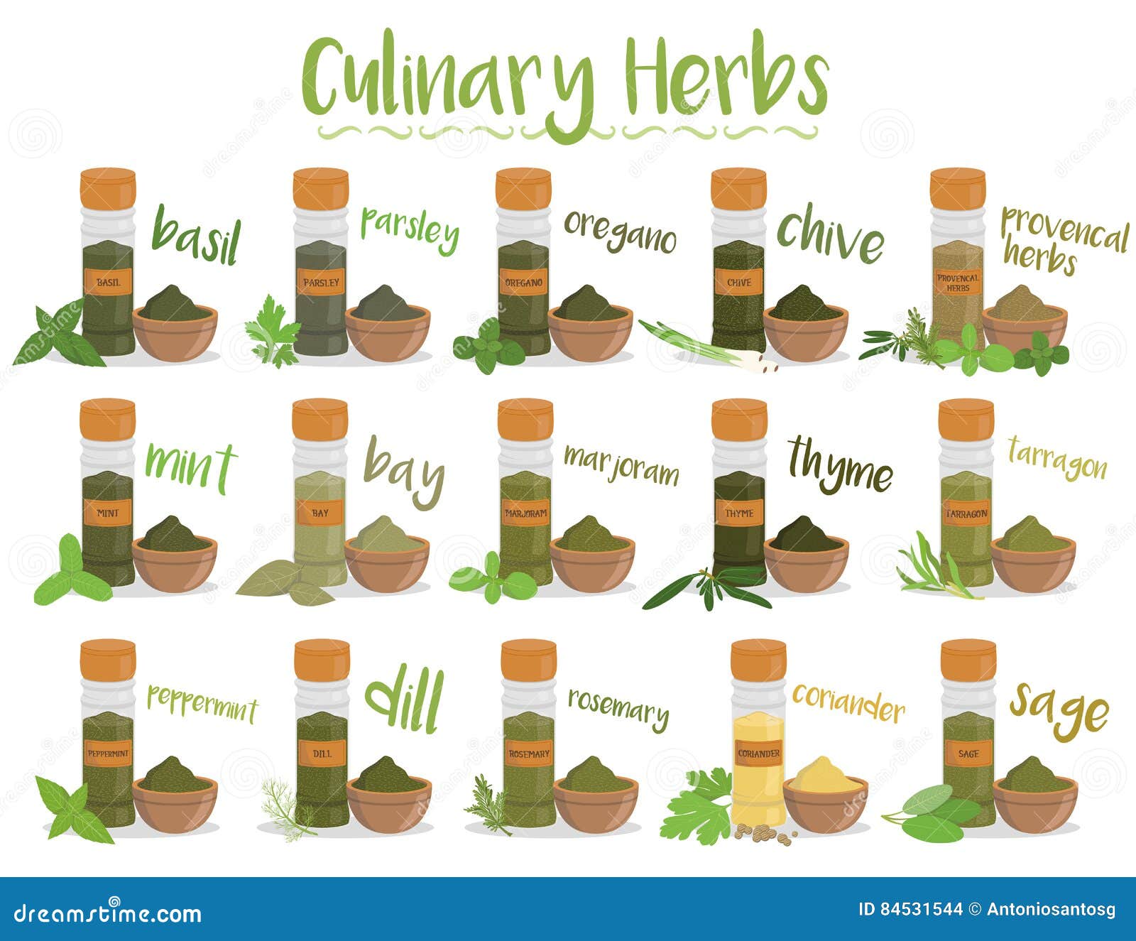 Set Of 12 Different Culinary Species And Condiments In Cartoon Style ...