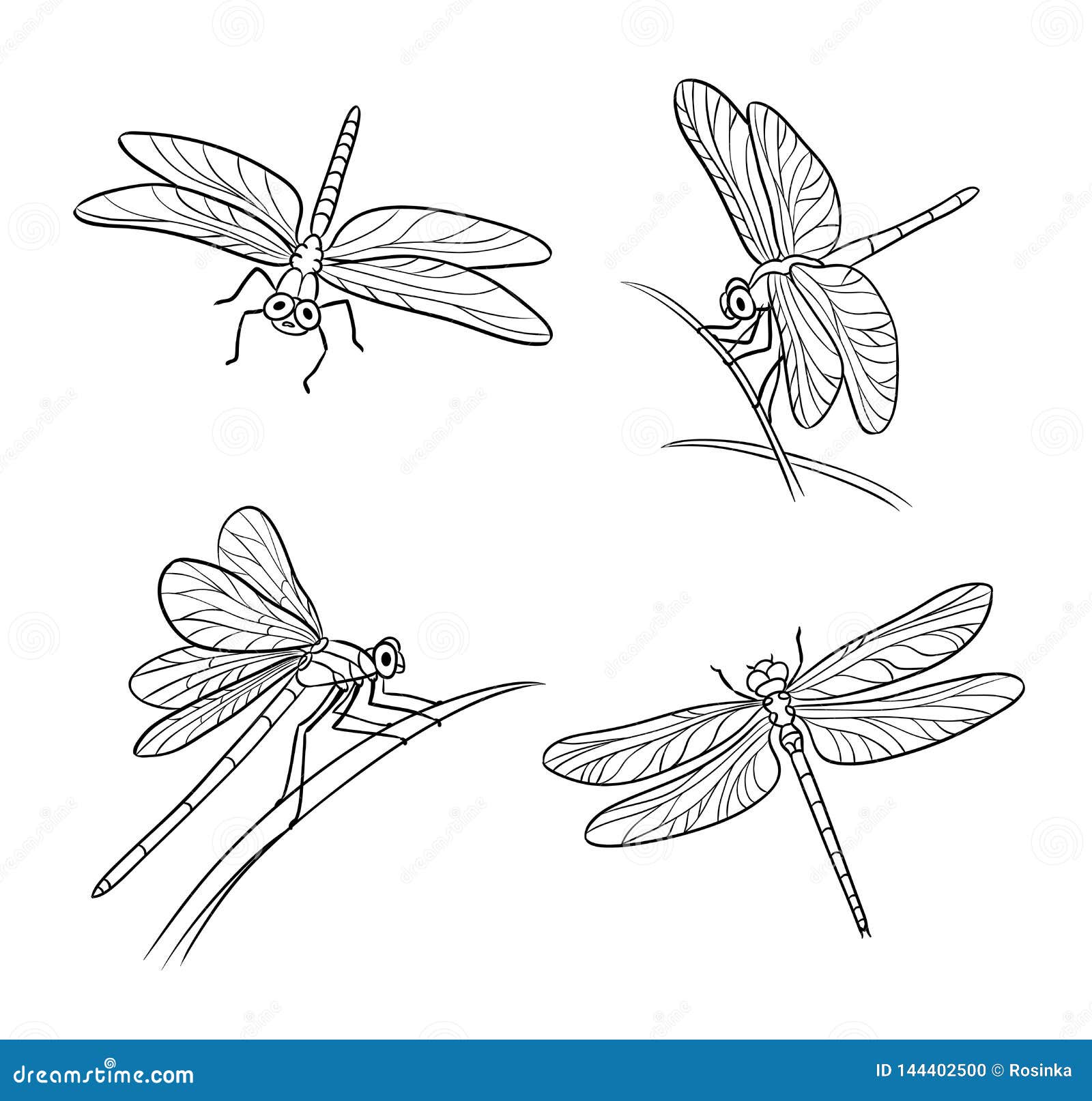 Set of Different Dragonflies in Outlines - Vector Illustration Stock ... Set of Different Dragonflies in Outlines - Vector Illustration Stock ...