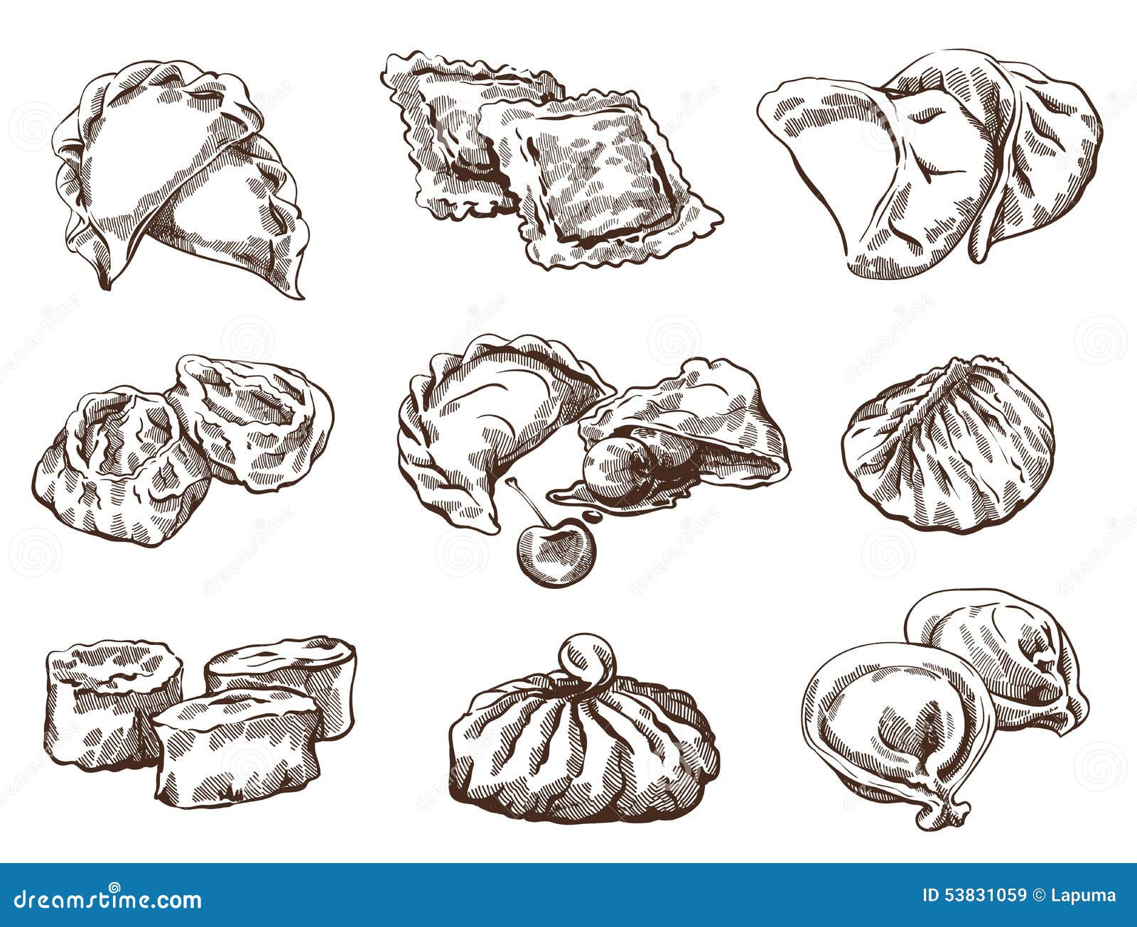 Set of different dumplings stock vector. Illustration of laurel - 53831059
