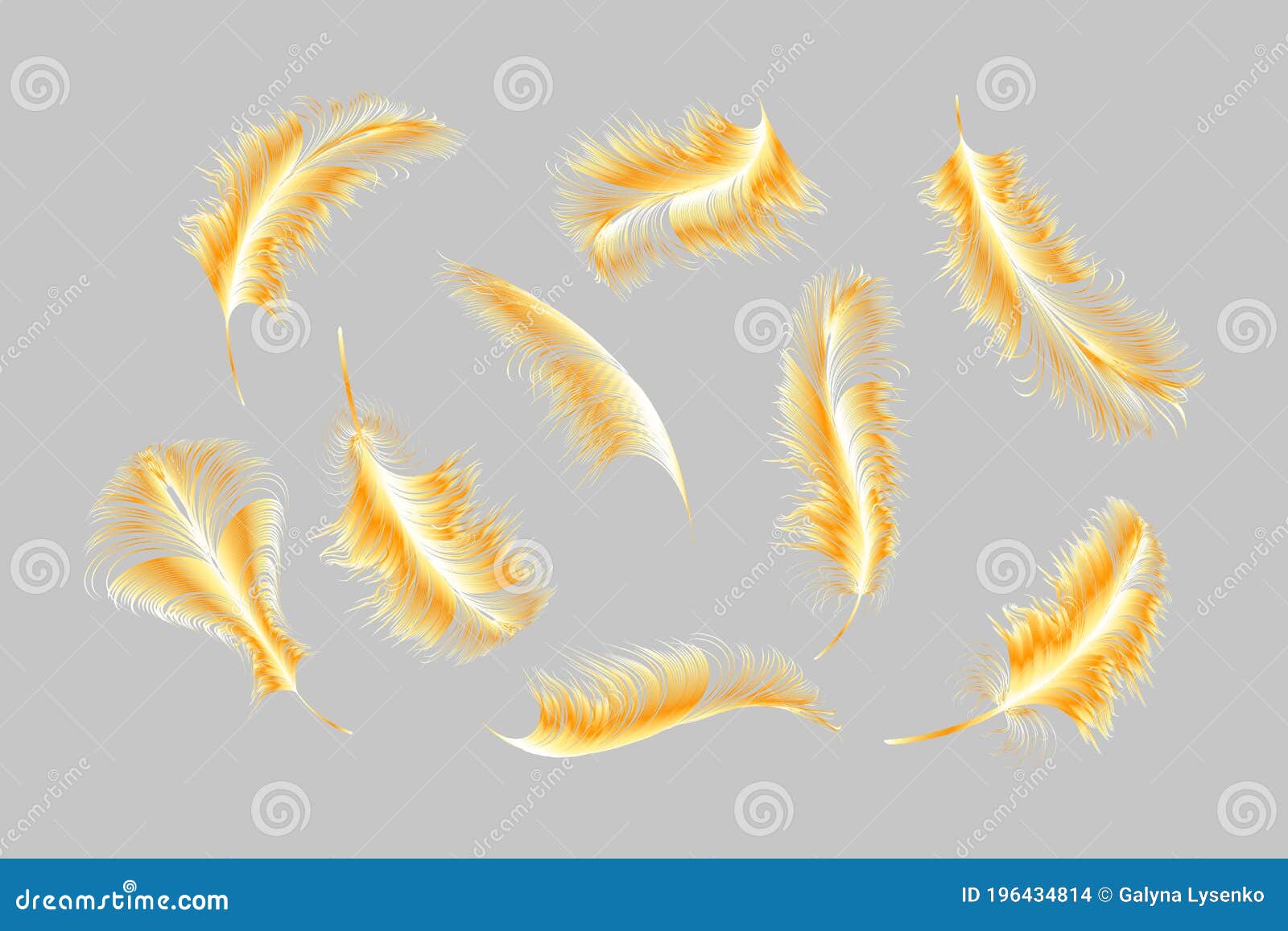 Vector Gold,pink ,silver Feathers Collection Set on a White Background ...
