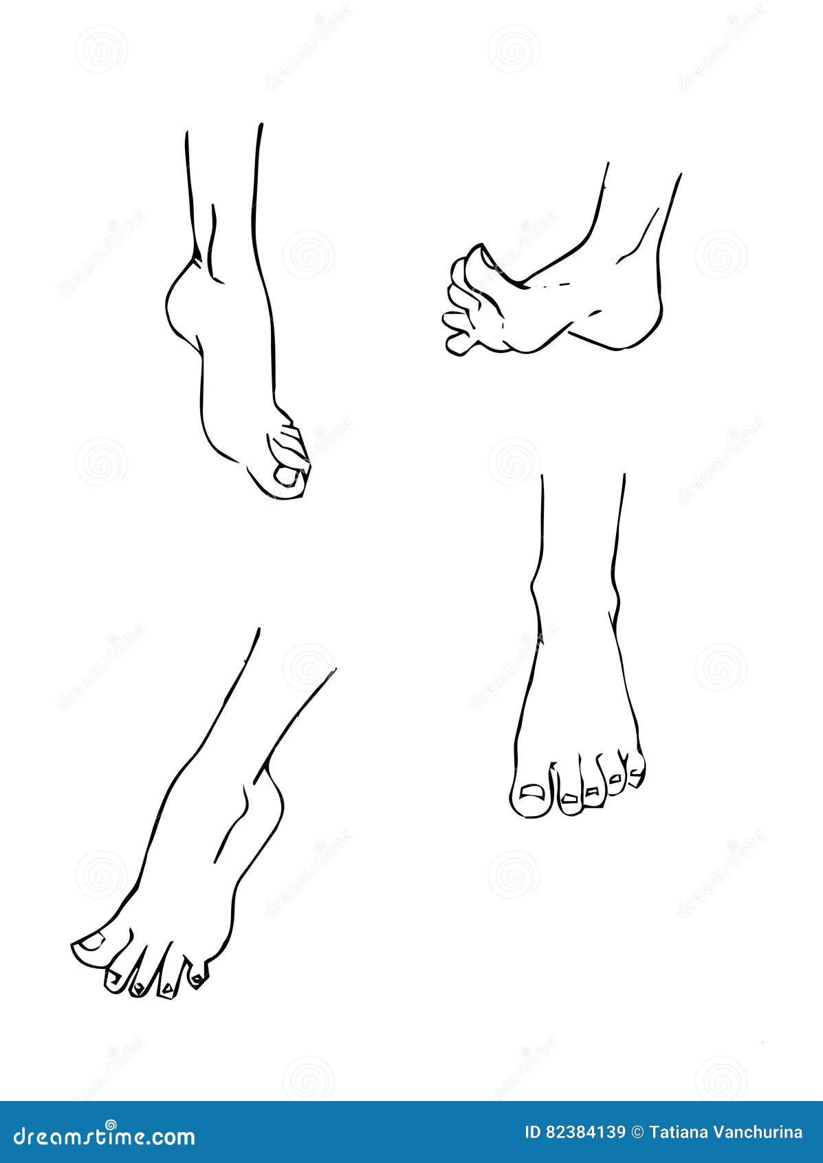 Set of 4 Different Feet in Various Poses. Stock Vector - Illustration ...