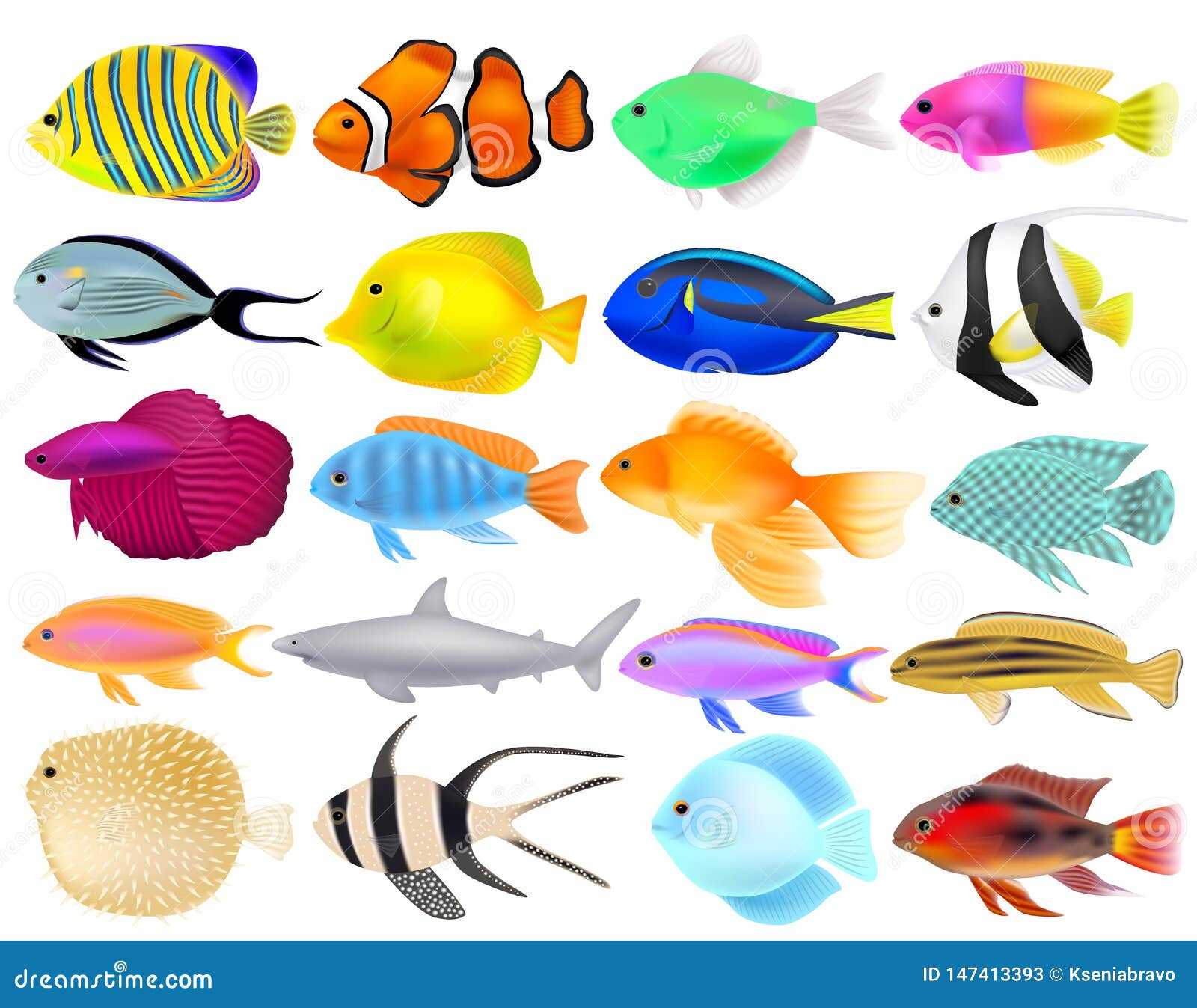 Set of Different Fish, Three-dimensional Realistic, Vector Illustration ...