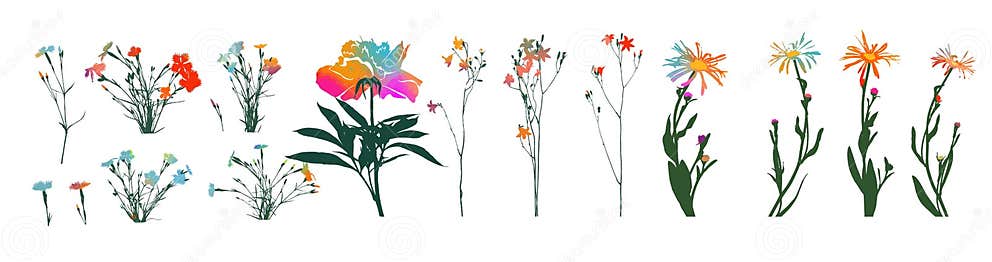 A Set of Different Flowers. Vector Illustration Stock Vector ...