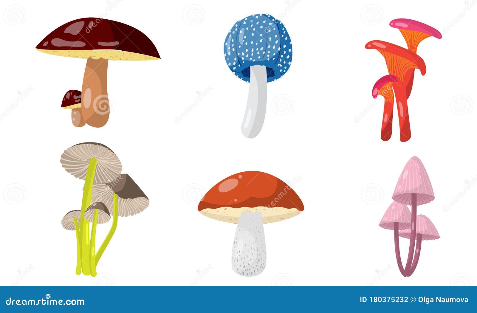 Set of Different Forest Mushrooms and Toadstools. Vector Illustration in Flat Cartoon Style ...