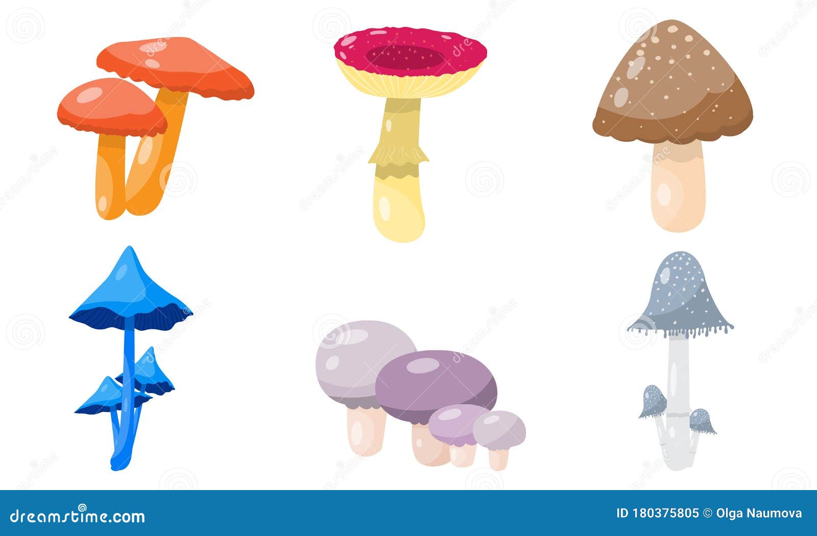 Set of Different Forest Mushrooms and Toadstools. Vector Illustration in Flat Cartoon Style ...