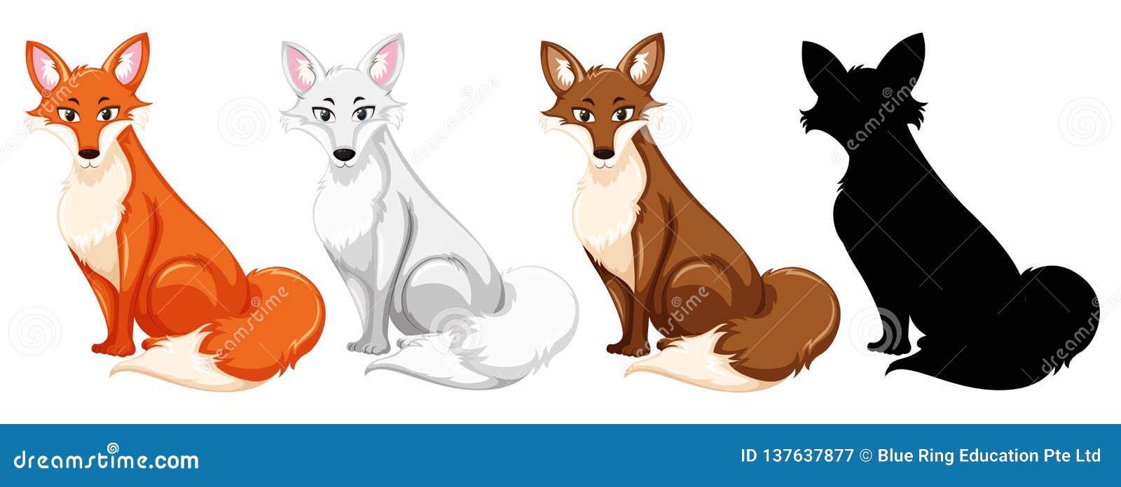Set of different fox stock vector. Illustration of nature - 137637877