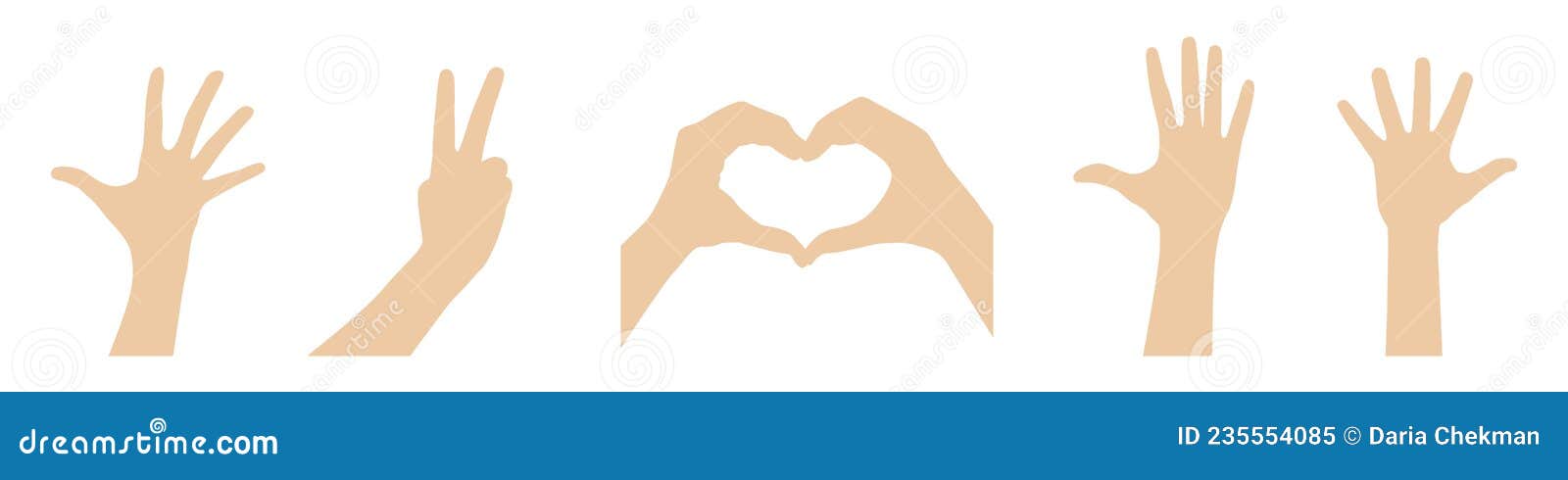Set of Different Hand Positions. Vector Illustration Stock Vector ...