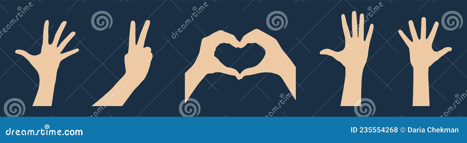 Set of Different Hand Positions. Vector Illustration Stock Vector ...