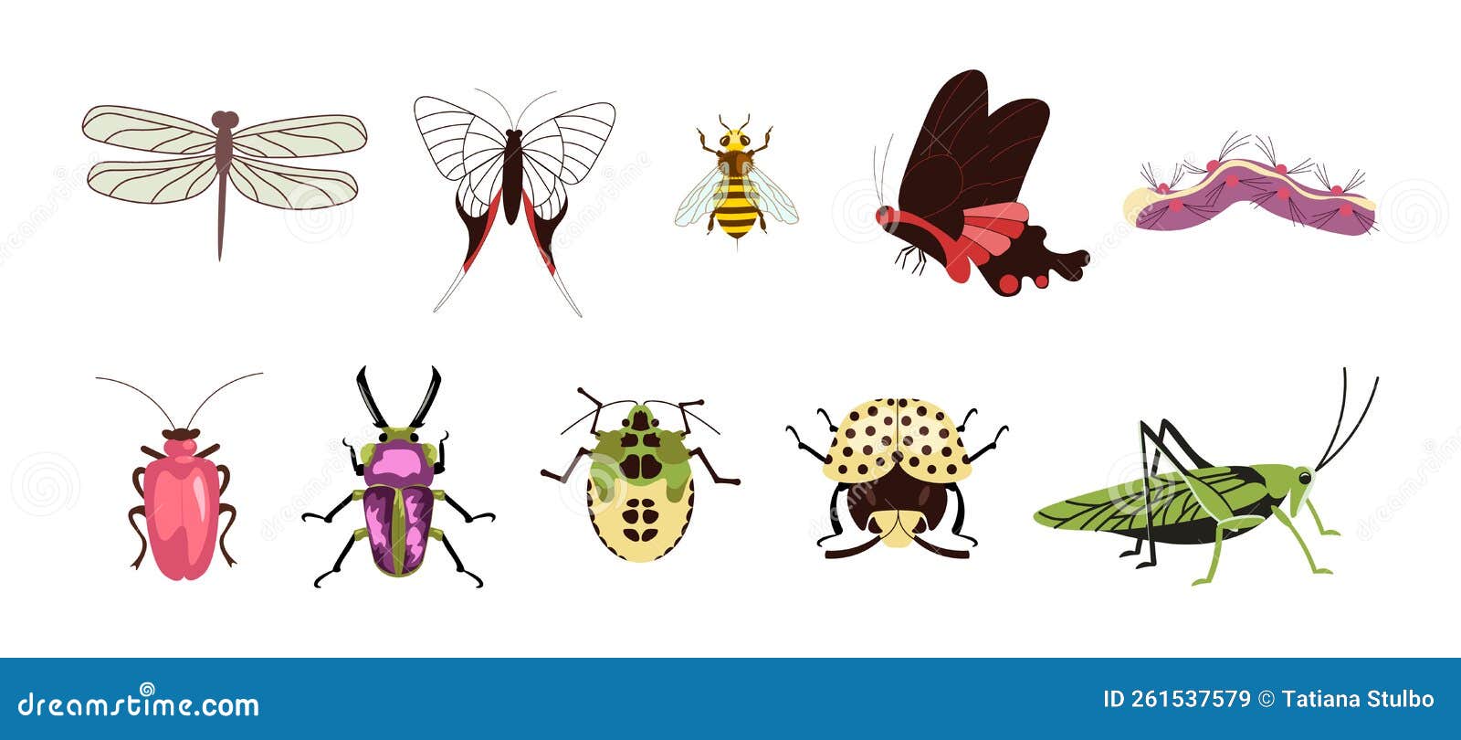 Set of Different Insects Isolated on White Background Stock ...