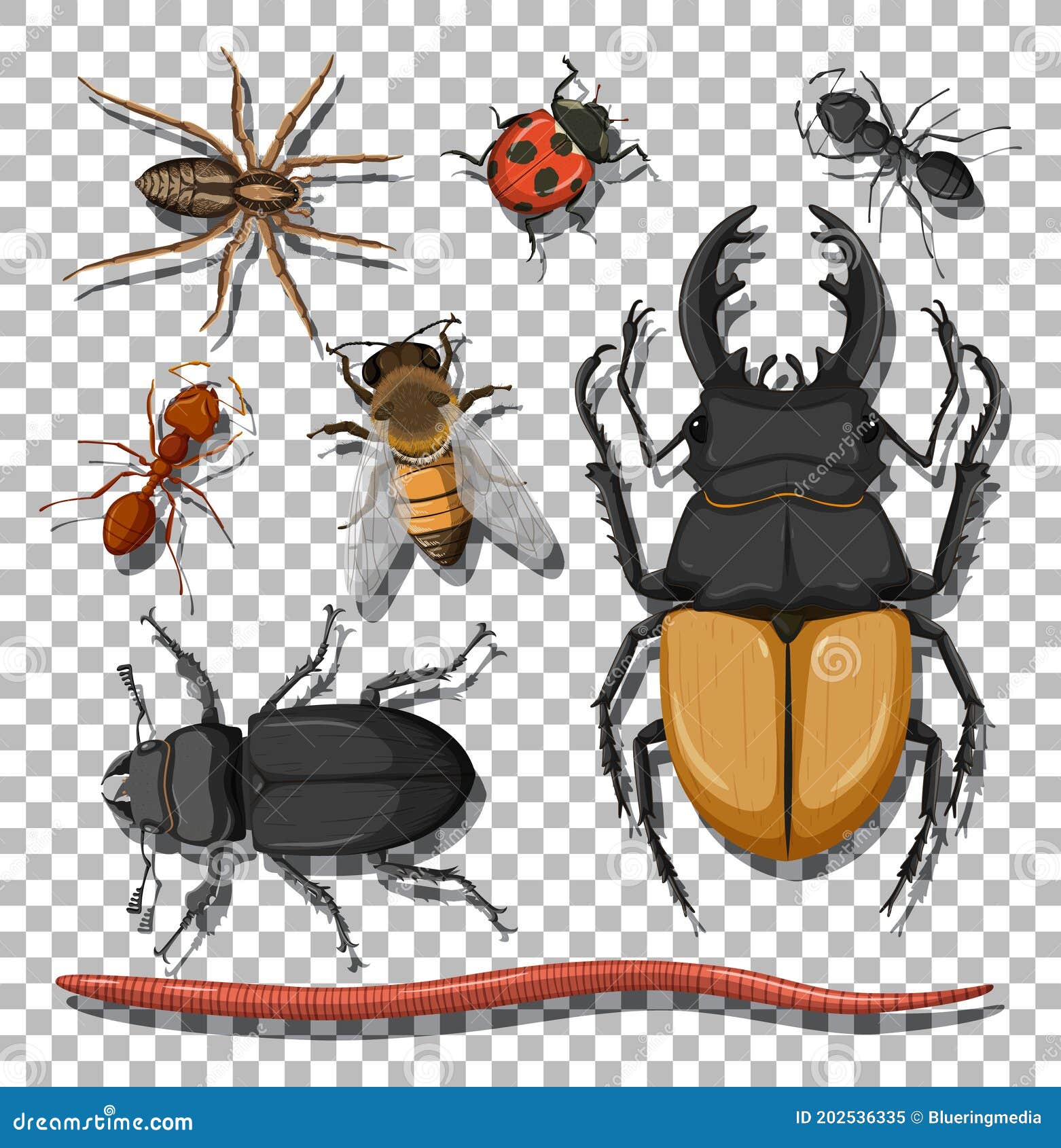 Background Design Many Insects Stock Illustrations – 411 Background ...