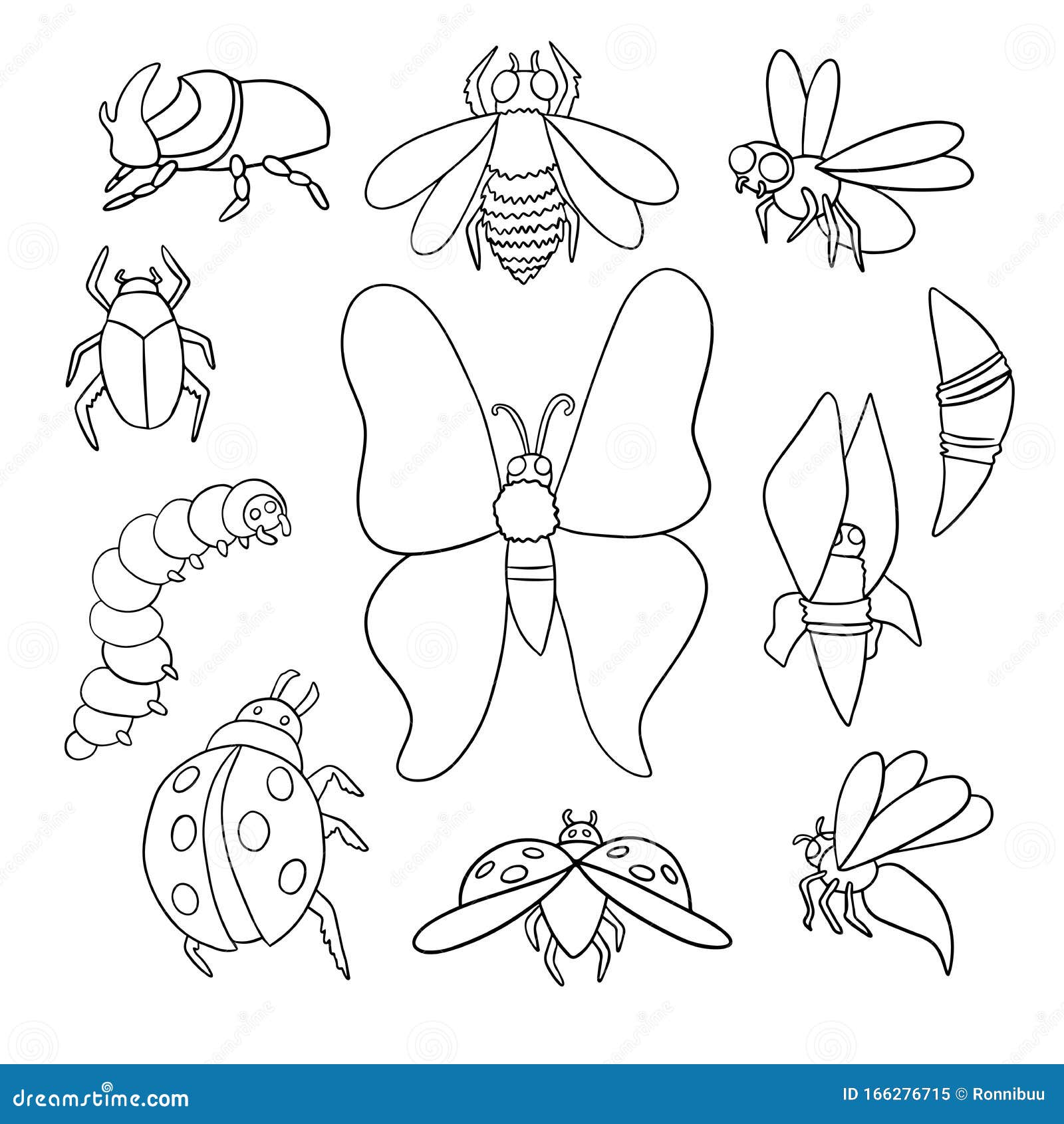 A Set of Different Insects. Vector Outlines for Coloring Stock Vector ...