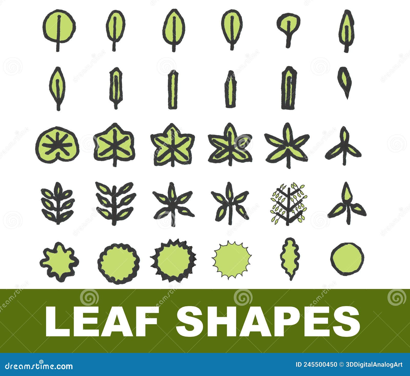 Botanical Illustration Sketch Drawing Set of Different Leaf Shapes Tree ...