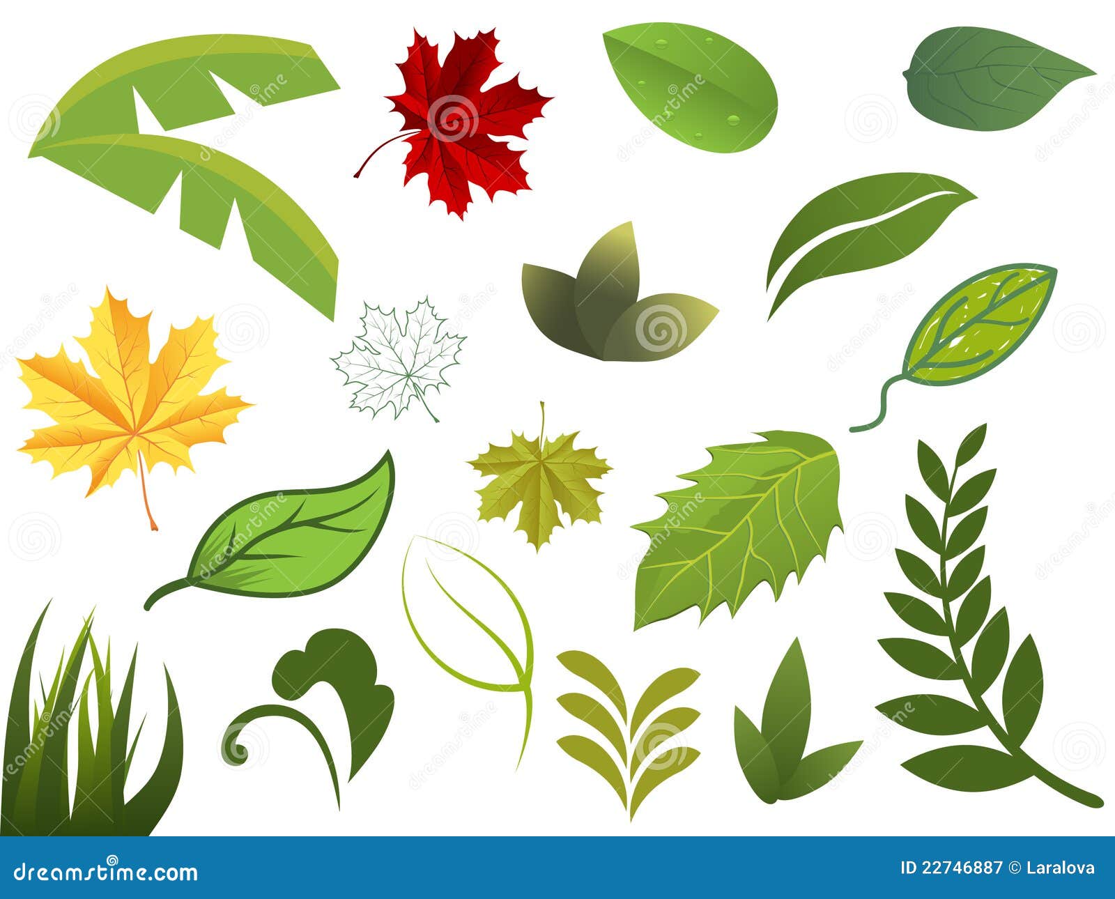 Set of different leafs stock vector. Illustration of collection - 22746887