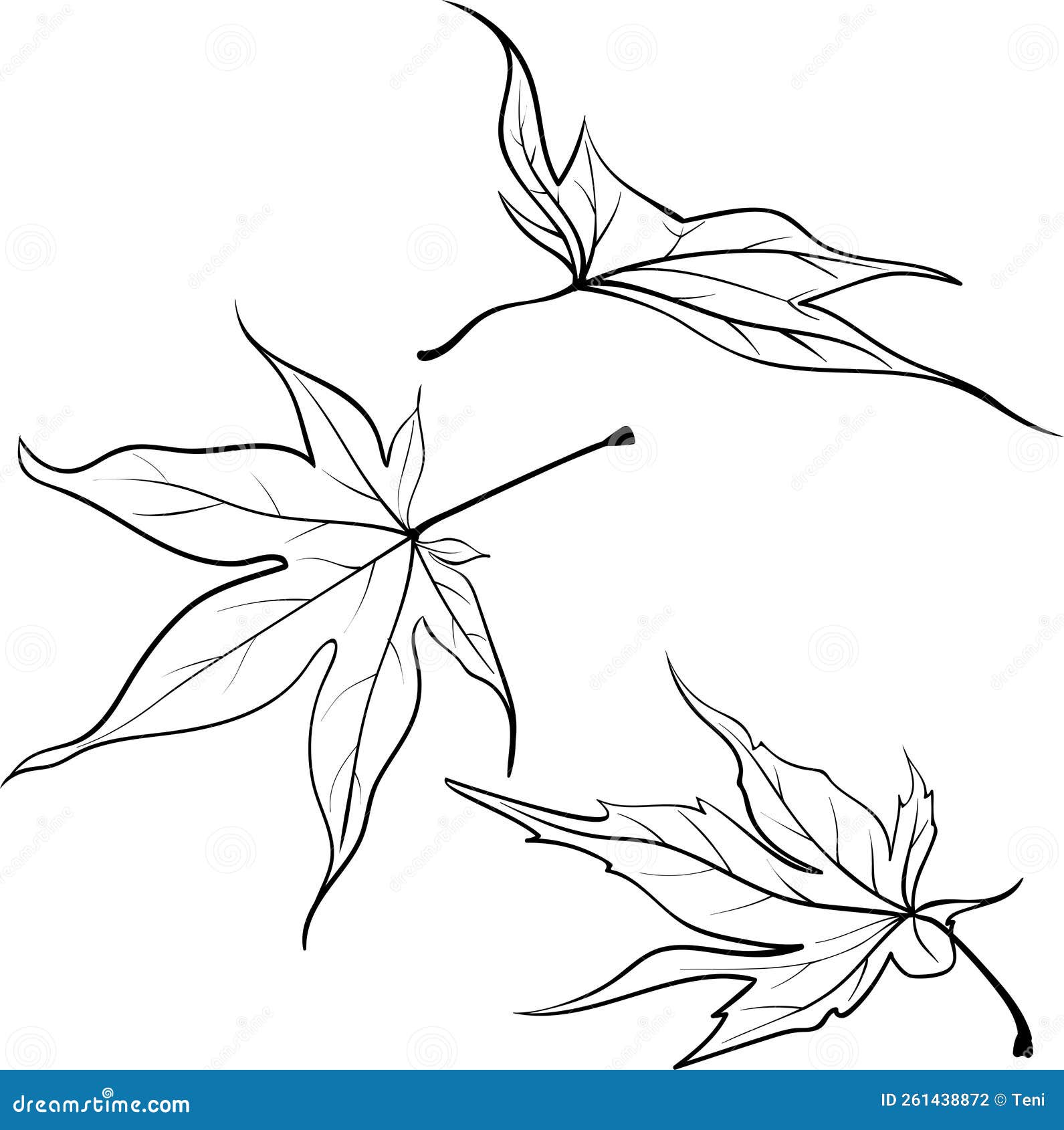 Set of Different Leaves of Japanese Maple on a White Background Stock ...