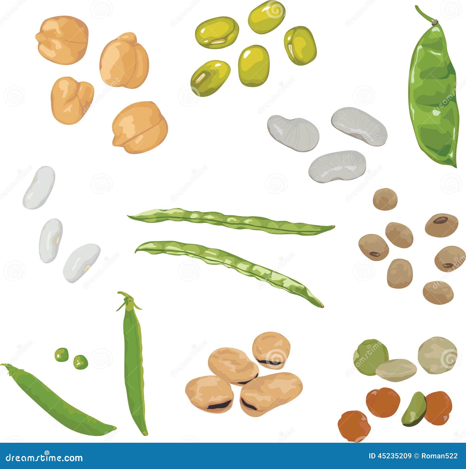 Set Of Different Legumes Cartoon Vector | CartoonDealer.com #45235209