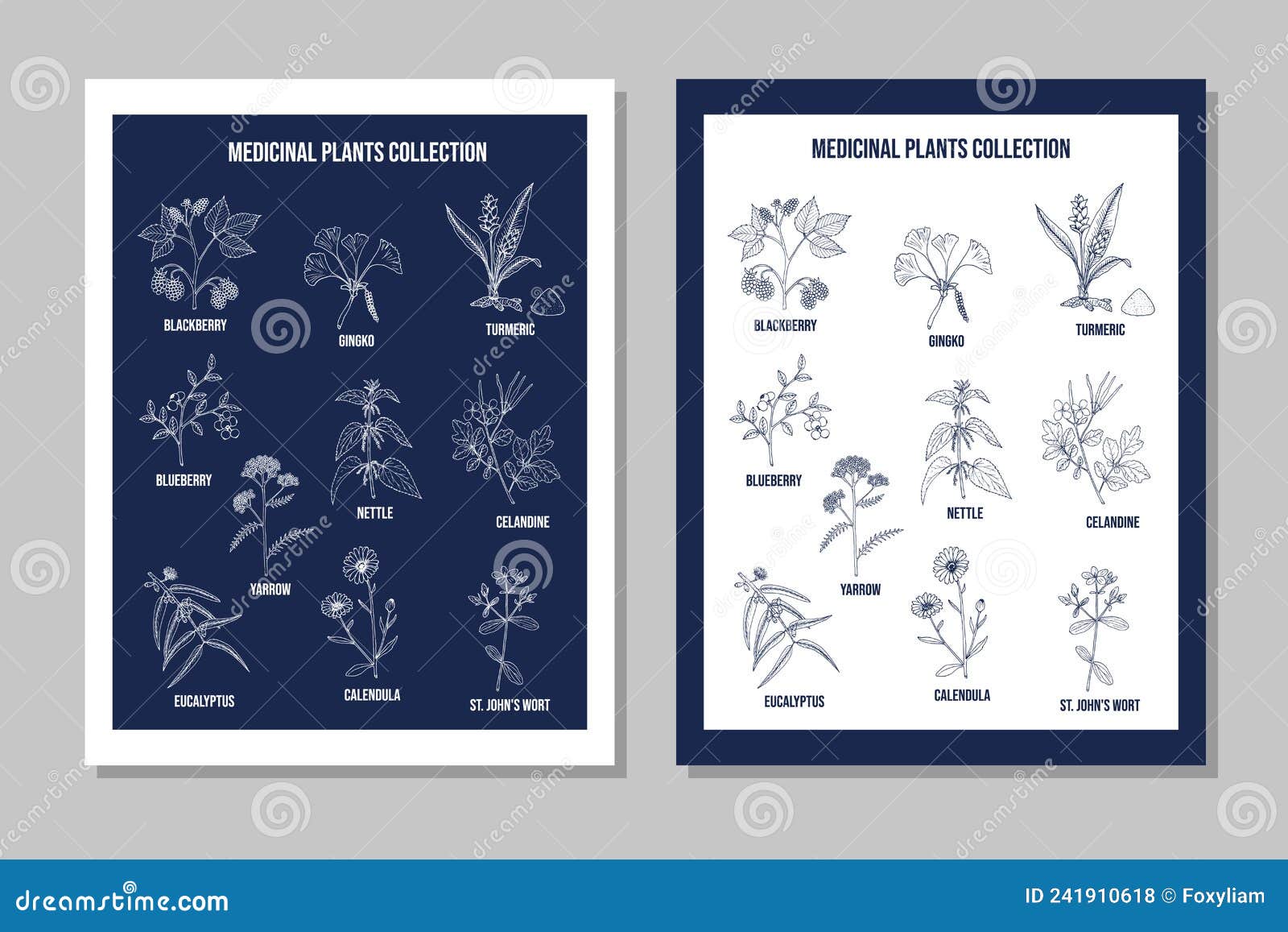Set of Different Medicinal Plants Stock Vector - Illustration of flower ...