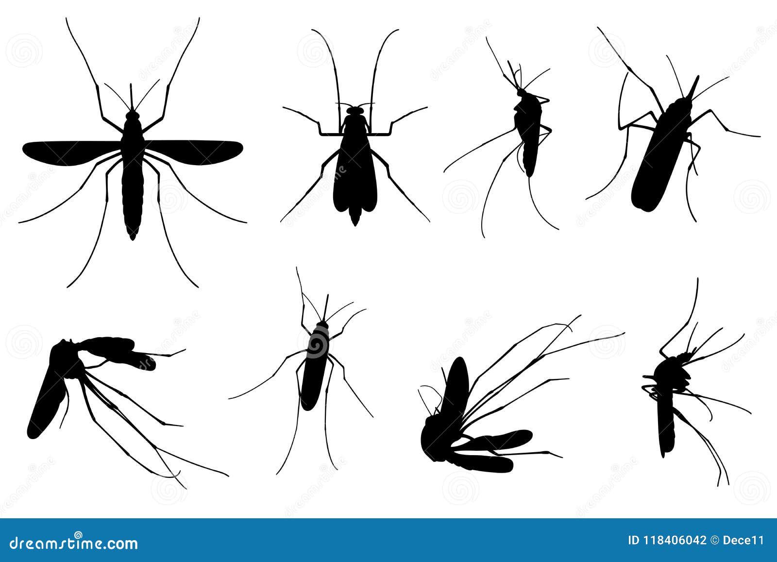Set of Different Mosquitoes Stock Vector - Illustration of collage ...