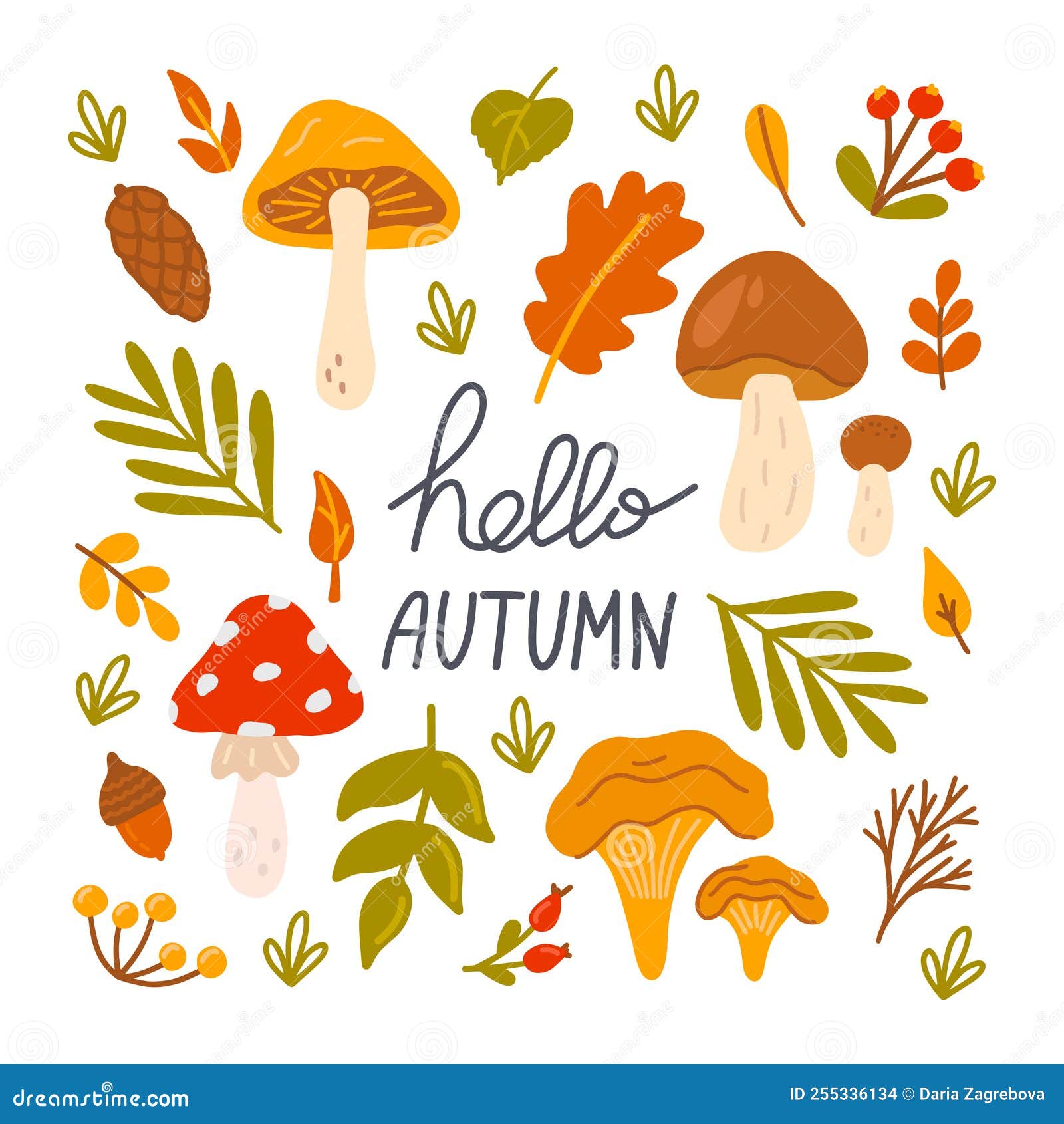 Set of Different Mushrooms with Berries and Leaves. Hello Autumn Stock ...