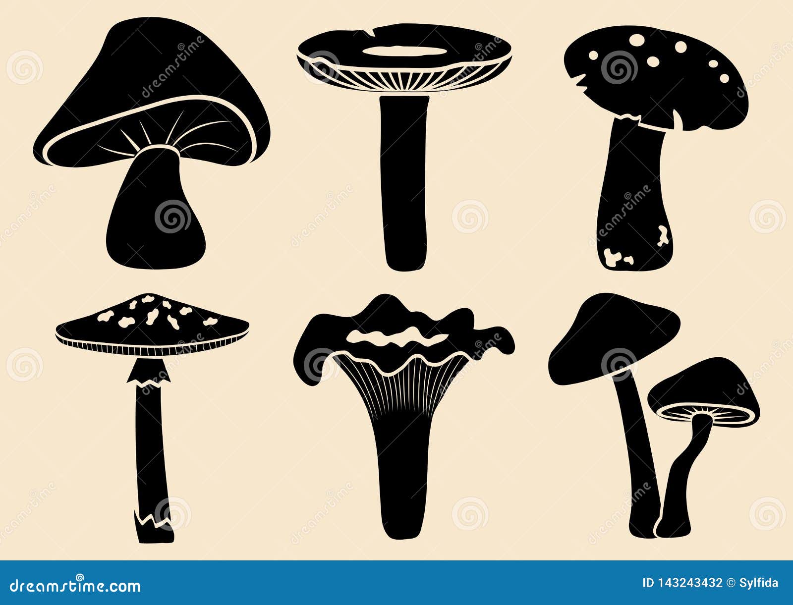 Set of Different Mushrooms. Vector Illustration Stock Illustration ... Set of Different Mushrooms. Vector Illustration Stock Illustration ...
