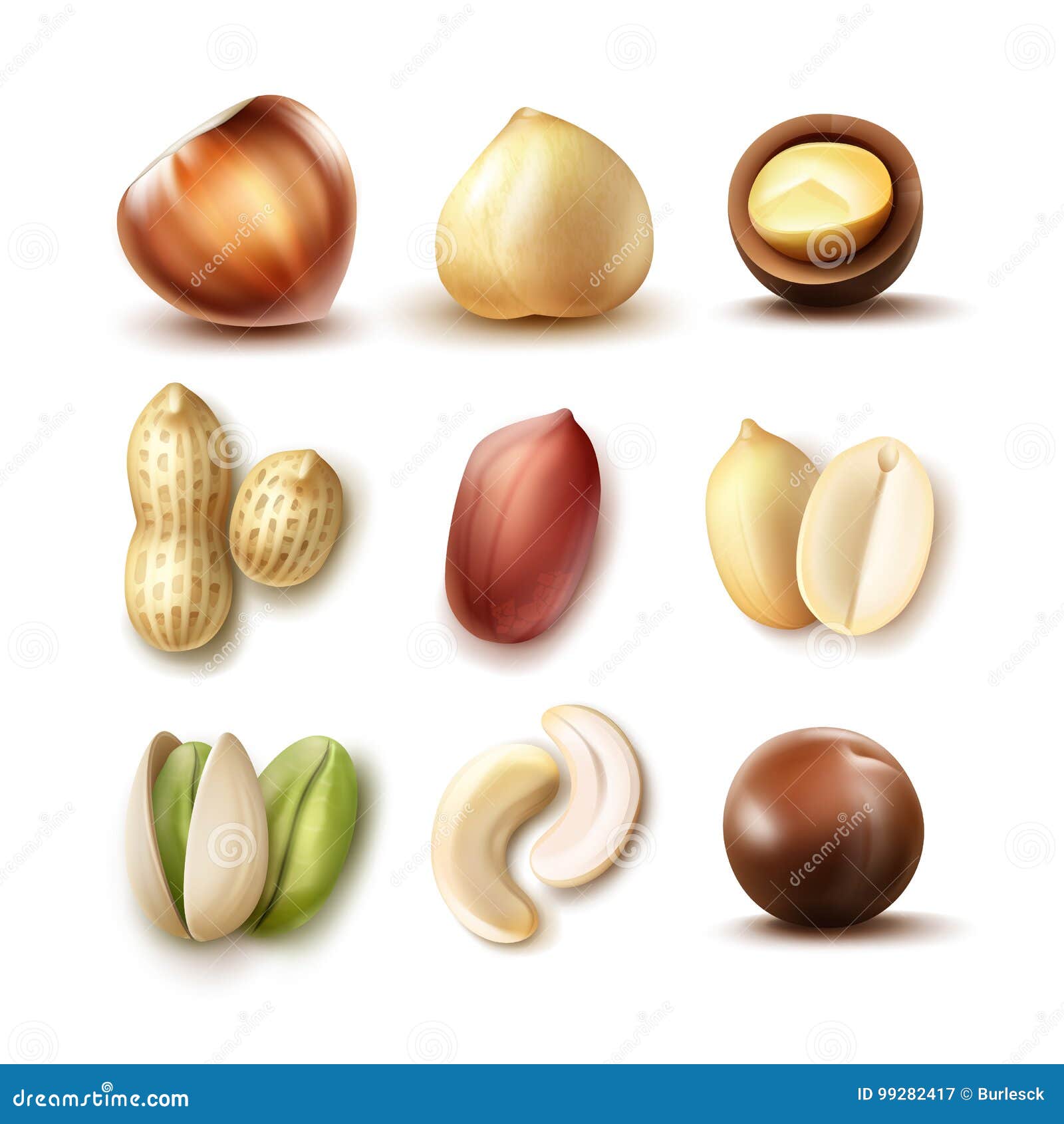Monkeynut Cartoons, Illustrations & Vector Stock Images - 165 Pictures ...