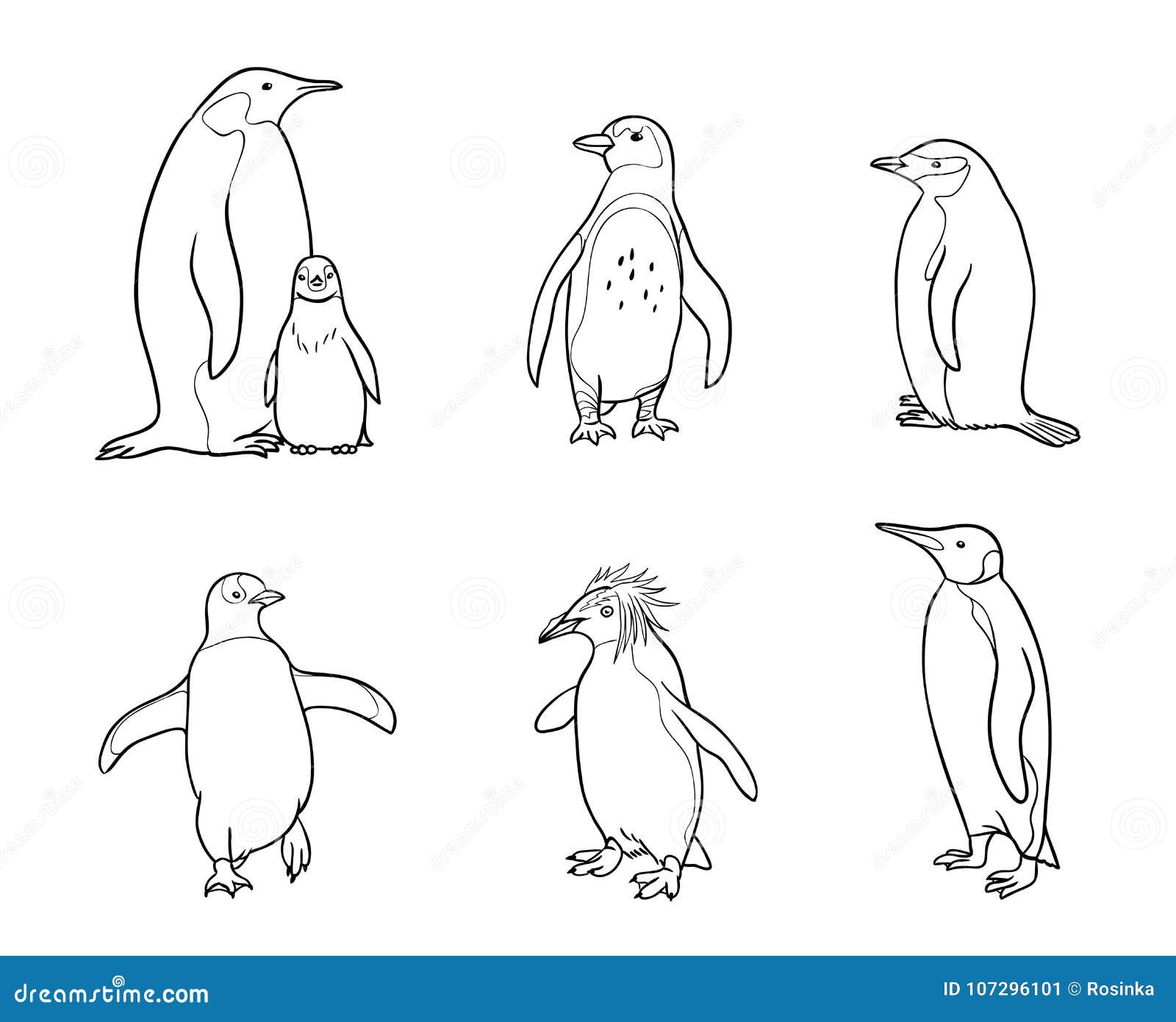 Set of Different Penguins in Outlines - Vector Illustration Stock Vector - Illustration of ...