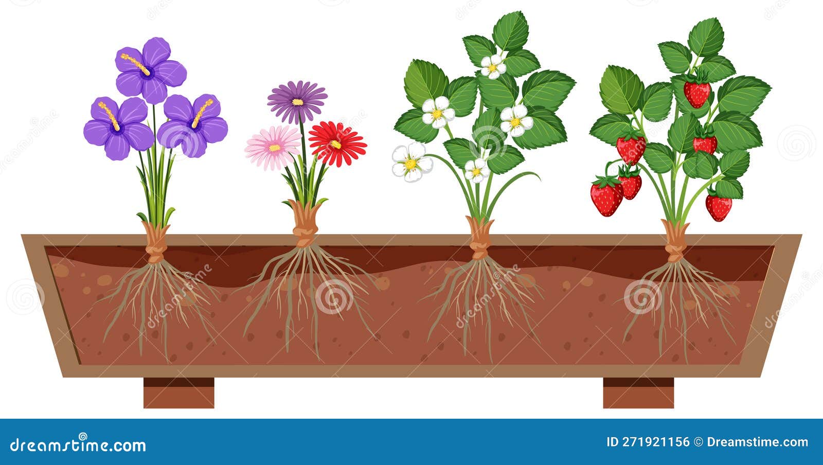 Set of Different Plant Roots Growing in Soil Stock Vector ...