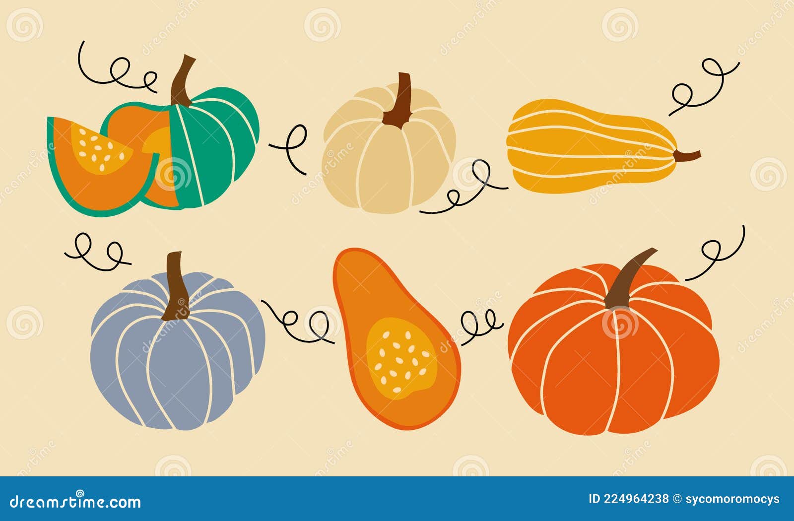 Set of Different Pumpkins, Different Colors and Shapes with Decorative ...