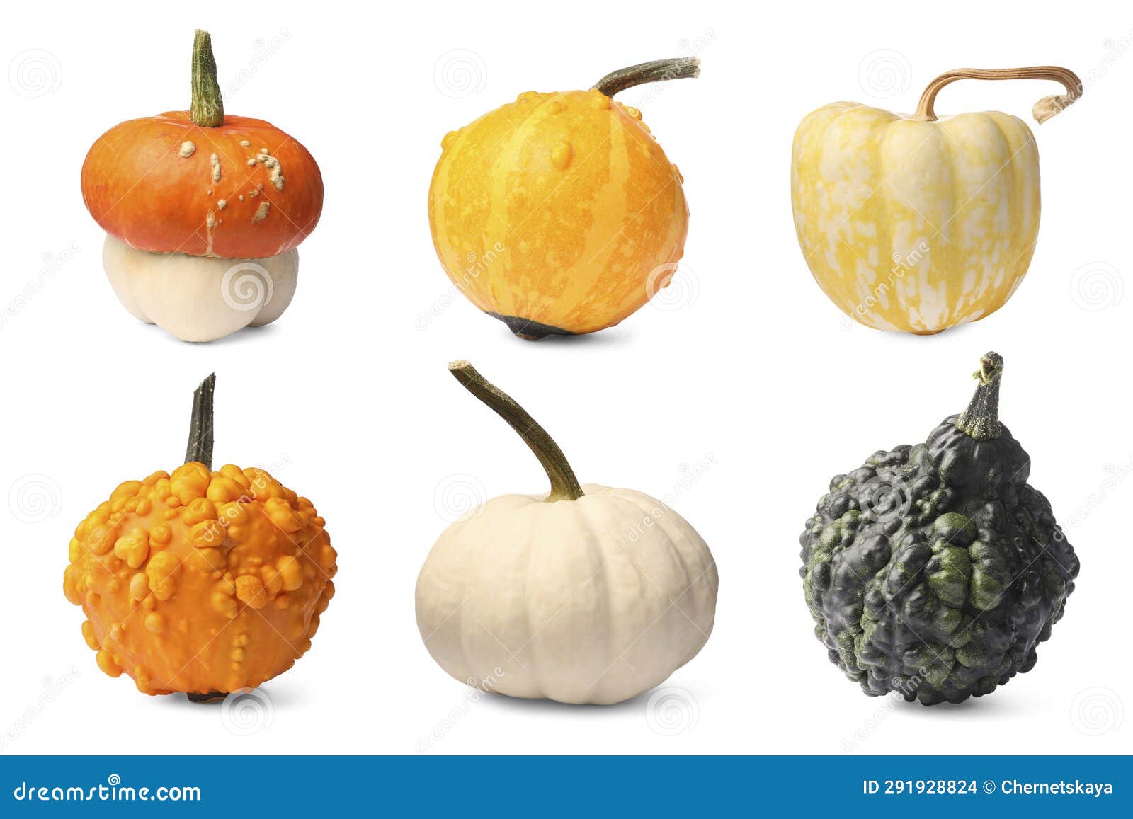 Set of Different Pumpkins Isolated on White Stock Photo - Image of ...