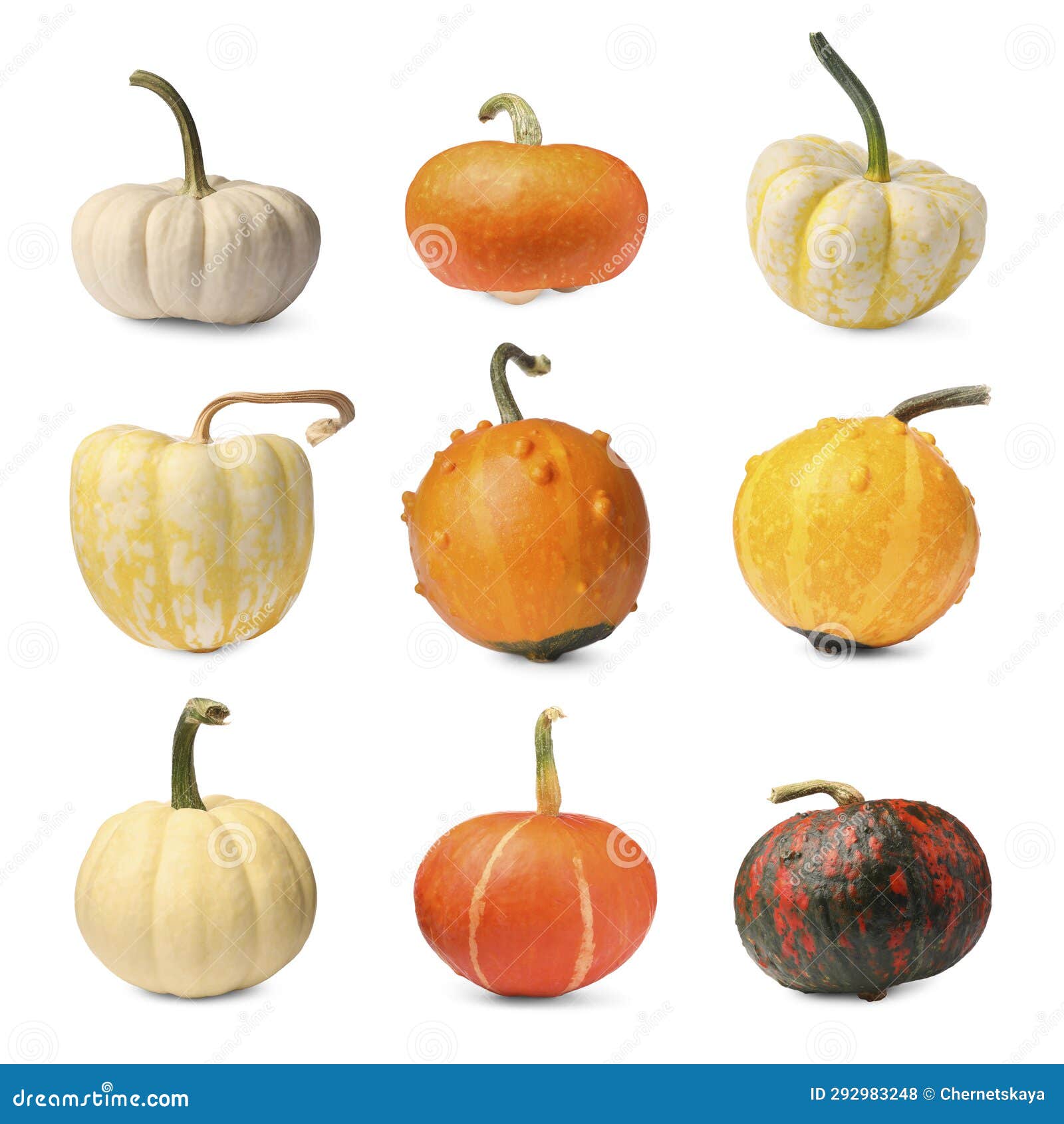 Set of Different Pumpkins Isolated on White Stock Photo - Image of ...