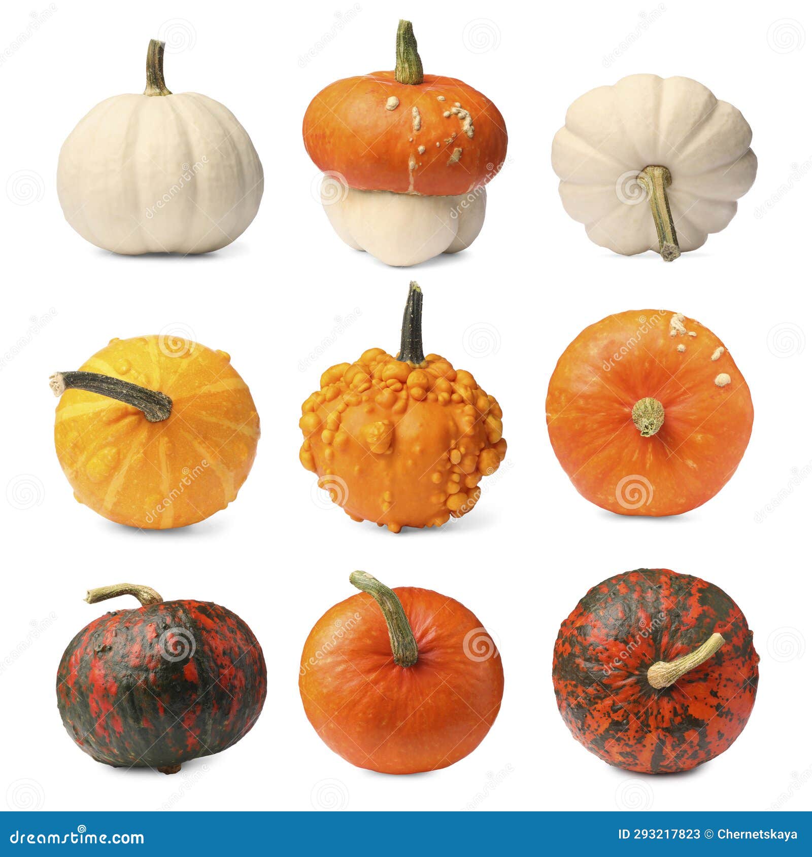 Set of Different Pumpkins Isolated on White Stock Image - Image of ...
