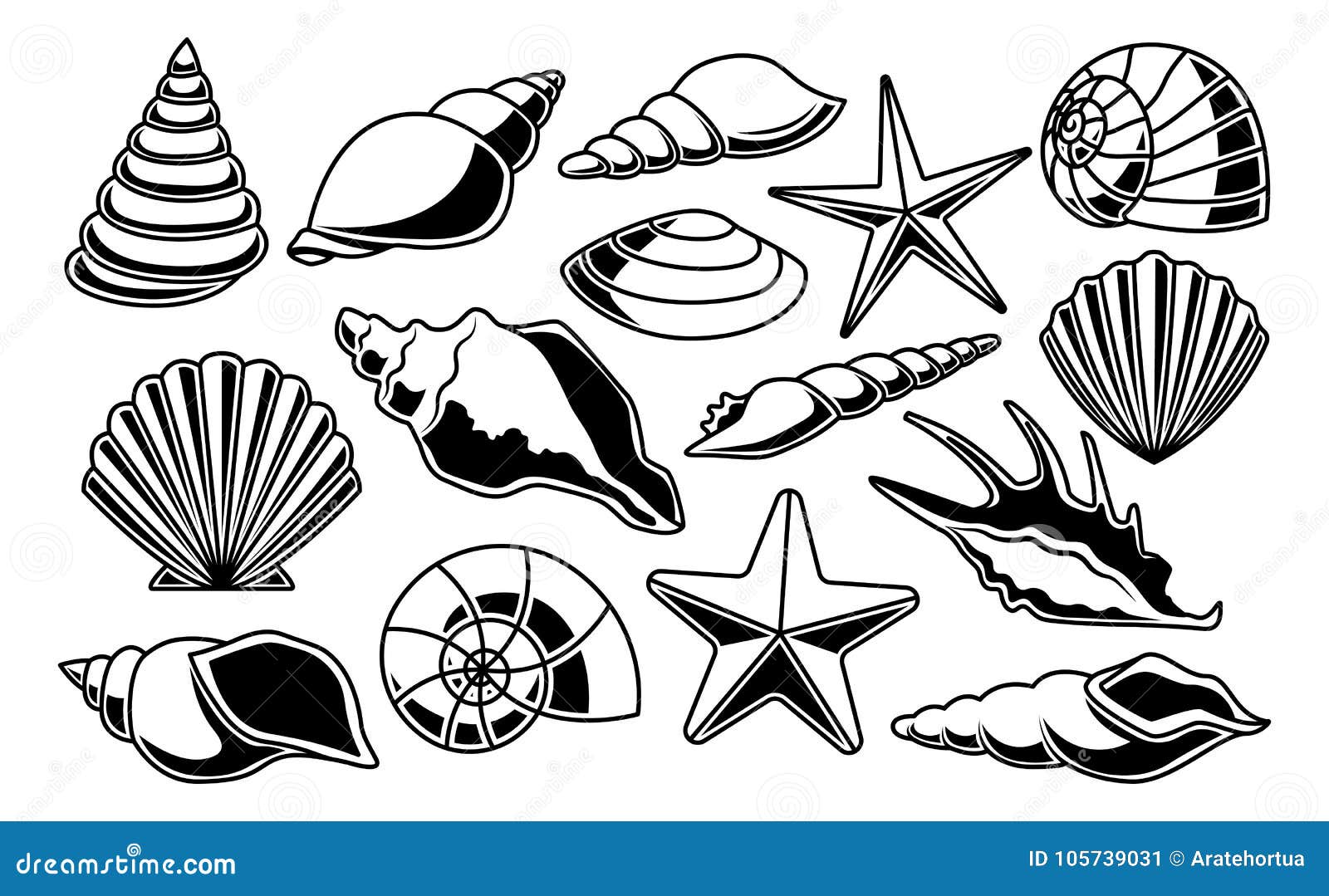 Set of Different Shells Isolated on White Background Stock Illustration ...