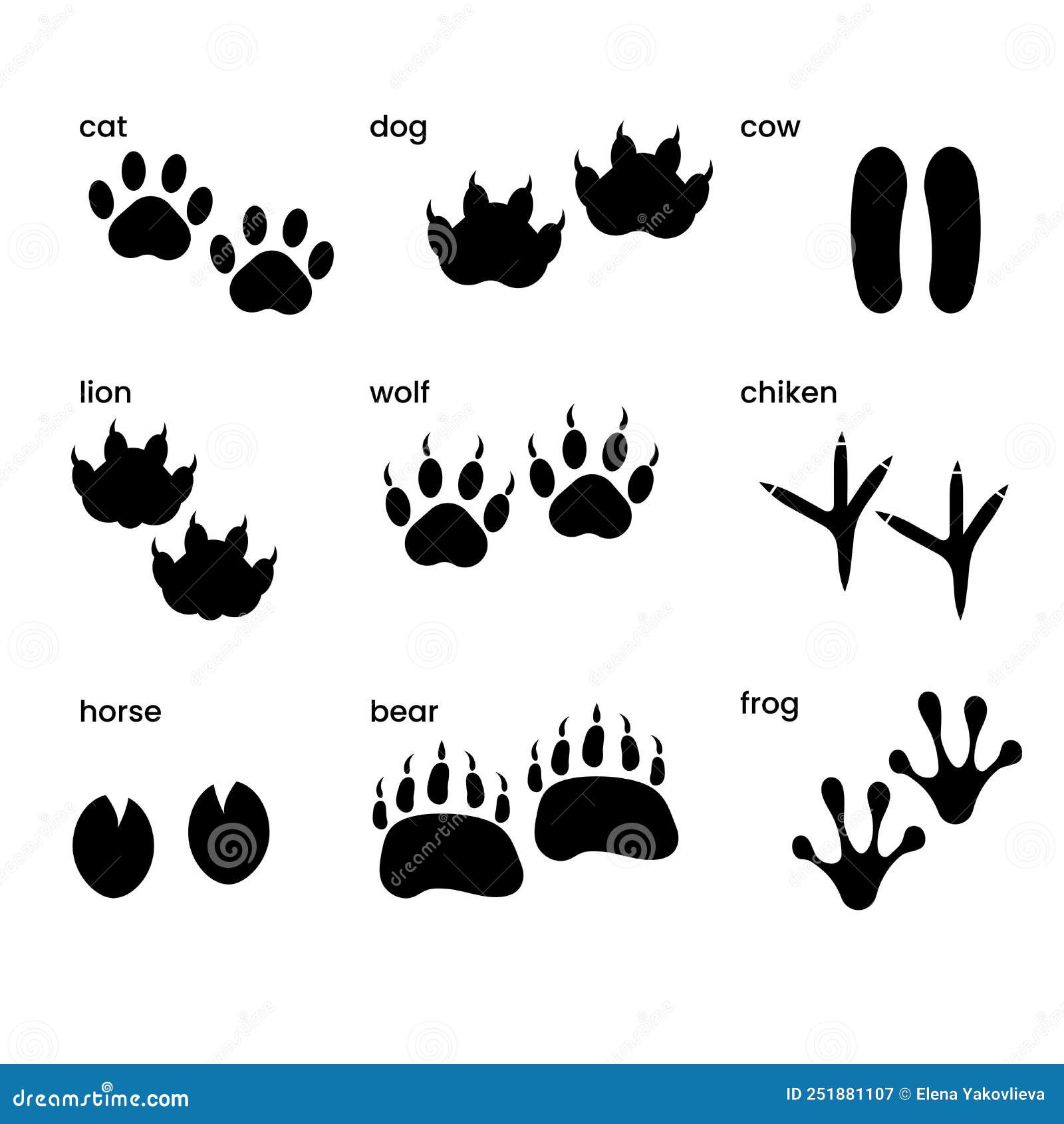 A Set of Different Silhouettes of Paws of Animals. Vector Illustration ...