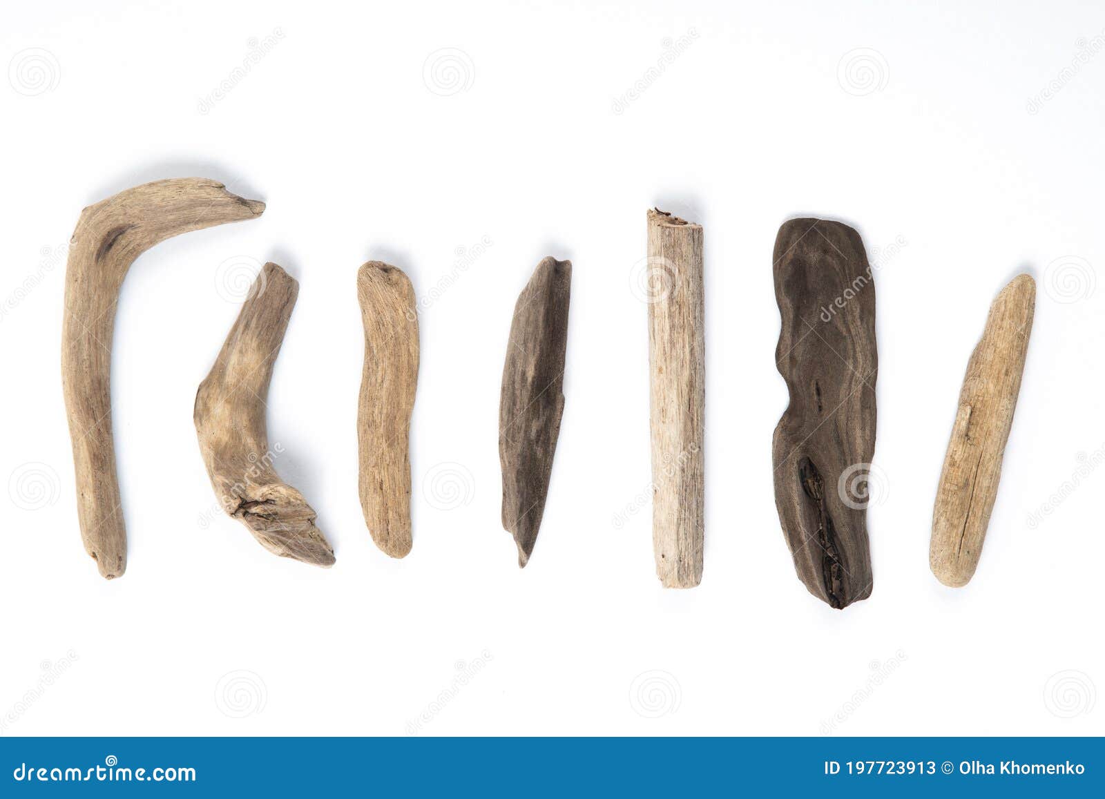 Set of Different Sizes and Forms Driftwood Sticks Isolated on White ...