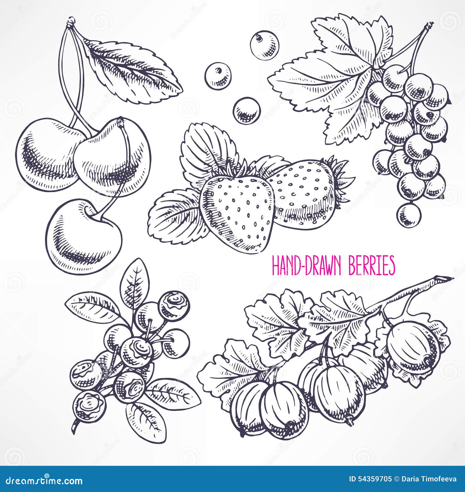 Set with Different Sketch Berries Stock Vector - Illustration of ripe ...
