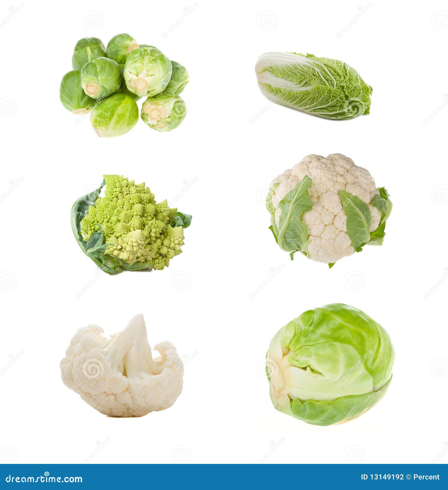 Set of Different Sorts of Cabbage Stock Photo - Image of food, studio ...