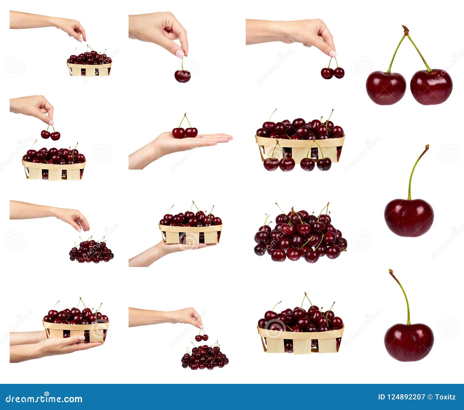 Set of Different Sweet Ripe Cherry in Package with Hand Isolated on ...