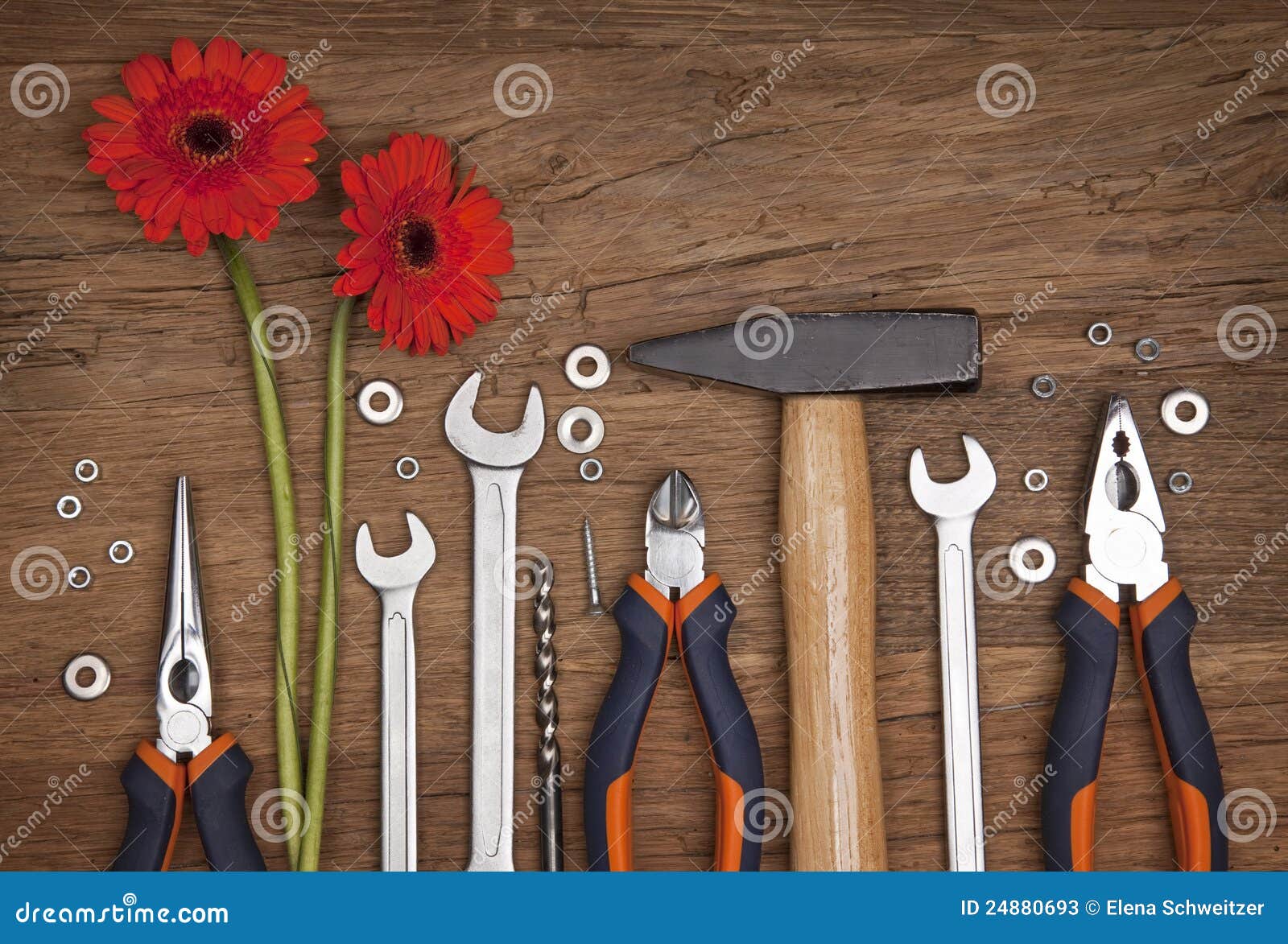 Set of Different Tools with Flowers Stock Image - Image of ideas ...
