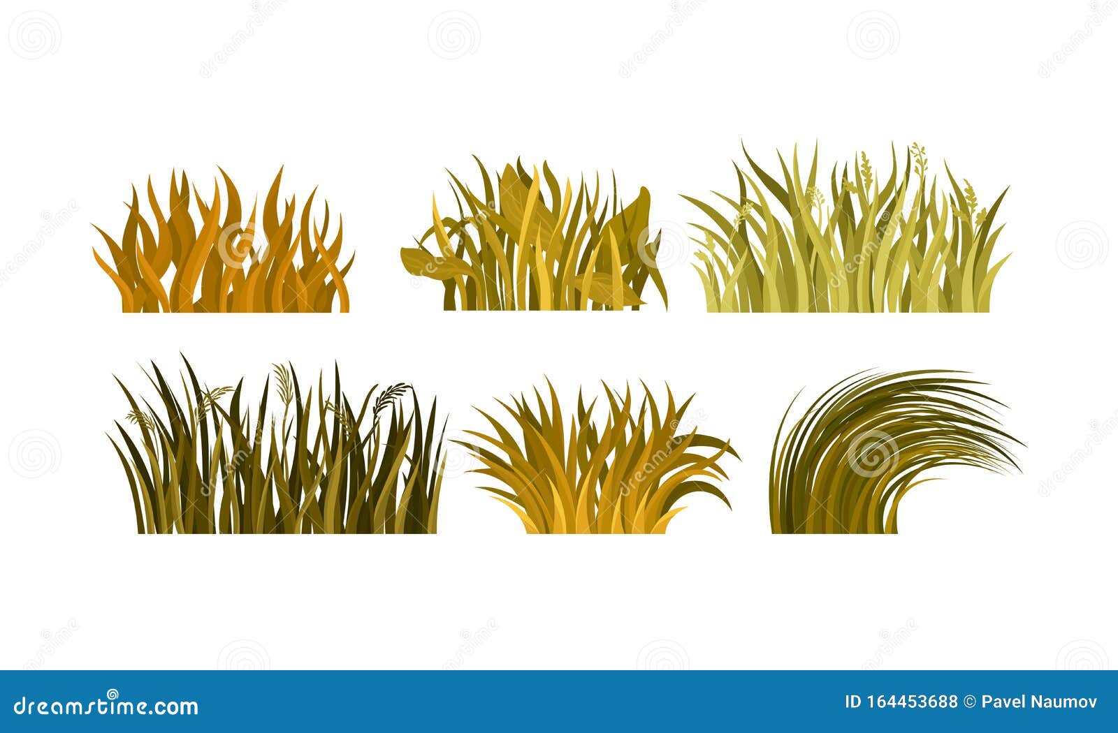 Set of Different Tufts of Yellow and Brown Grass Vector Illustration ...