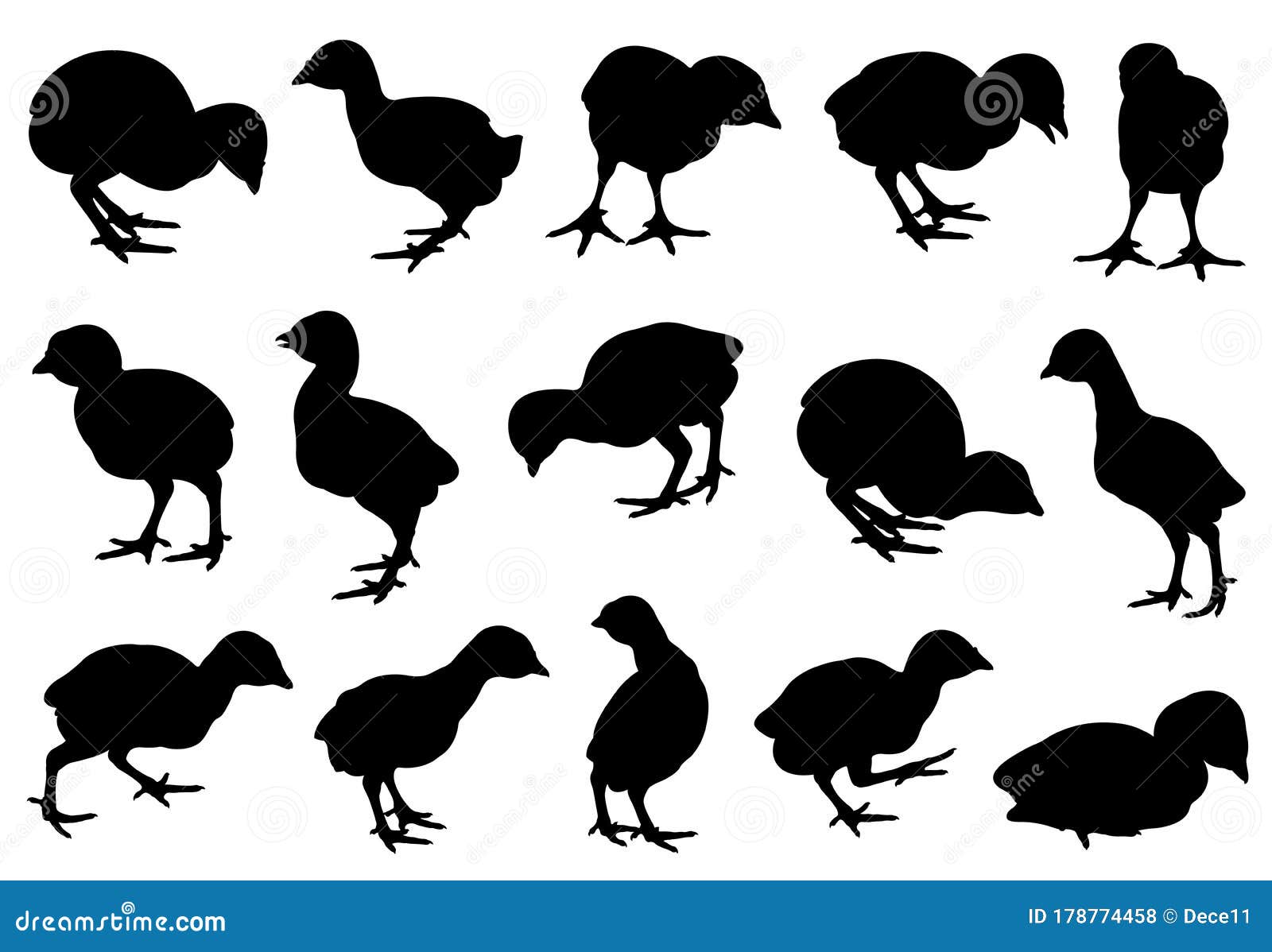 Set of Different Turkey Chicks Stock Vector - Illustration of food ...