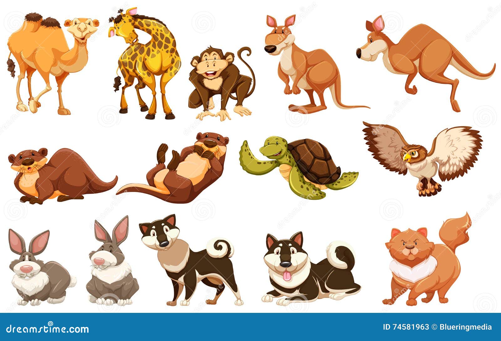 Set of Different Types of Animals Stock Vector - Illustration of ...
