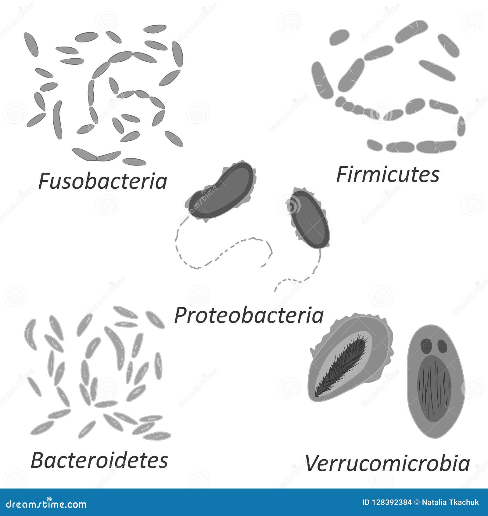 Set of Different Types of Bacterias of Human Microbiome, Black and ...