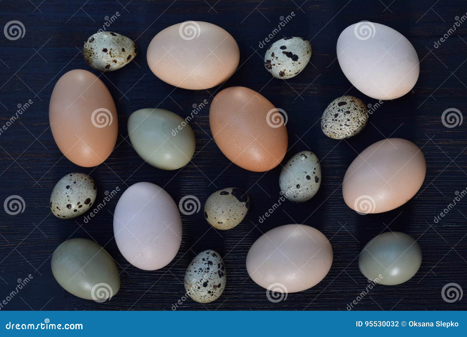 Set of Different Types Birds Eggs from Chicken, Pheasant and Quail on a ...