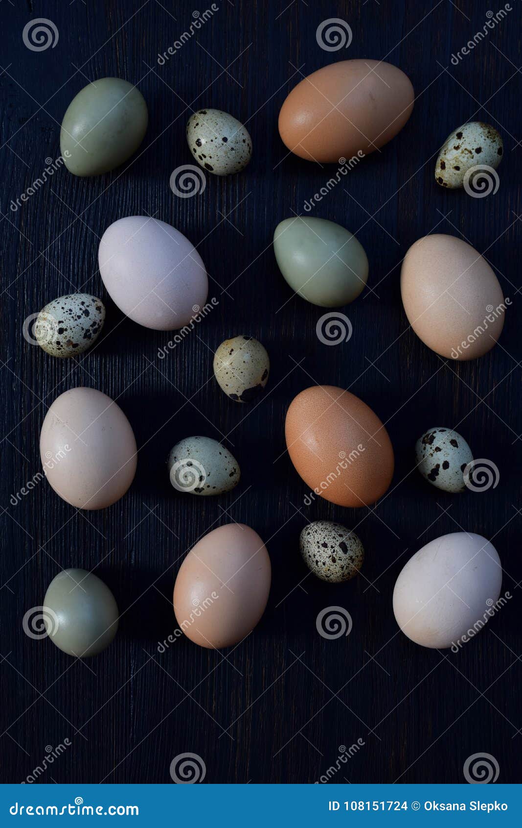 Set of Different Types Birds Eggs from Chicken, Pheasant and Quail on a ...