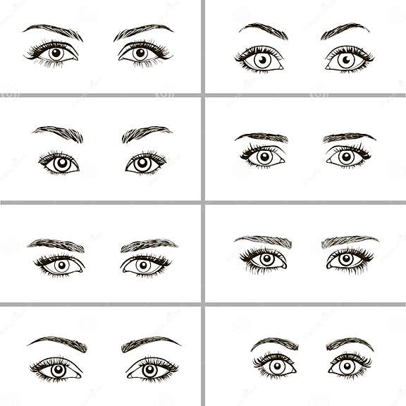 Set of Different Types of Eyes. Stock Vector - Illustration of northern ...