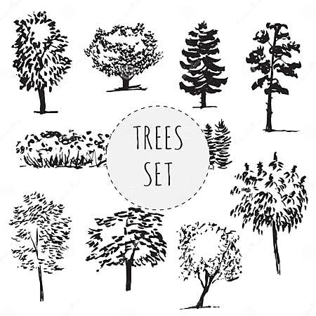 Set of Different Types Hand Drawn Trees Stock Vector - Illustration of ...