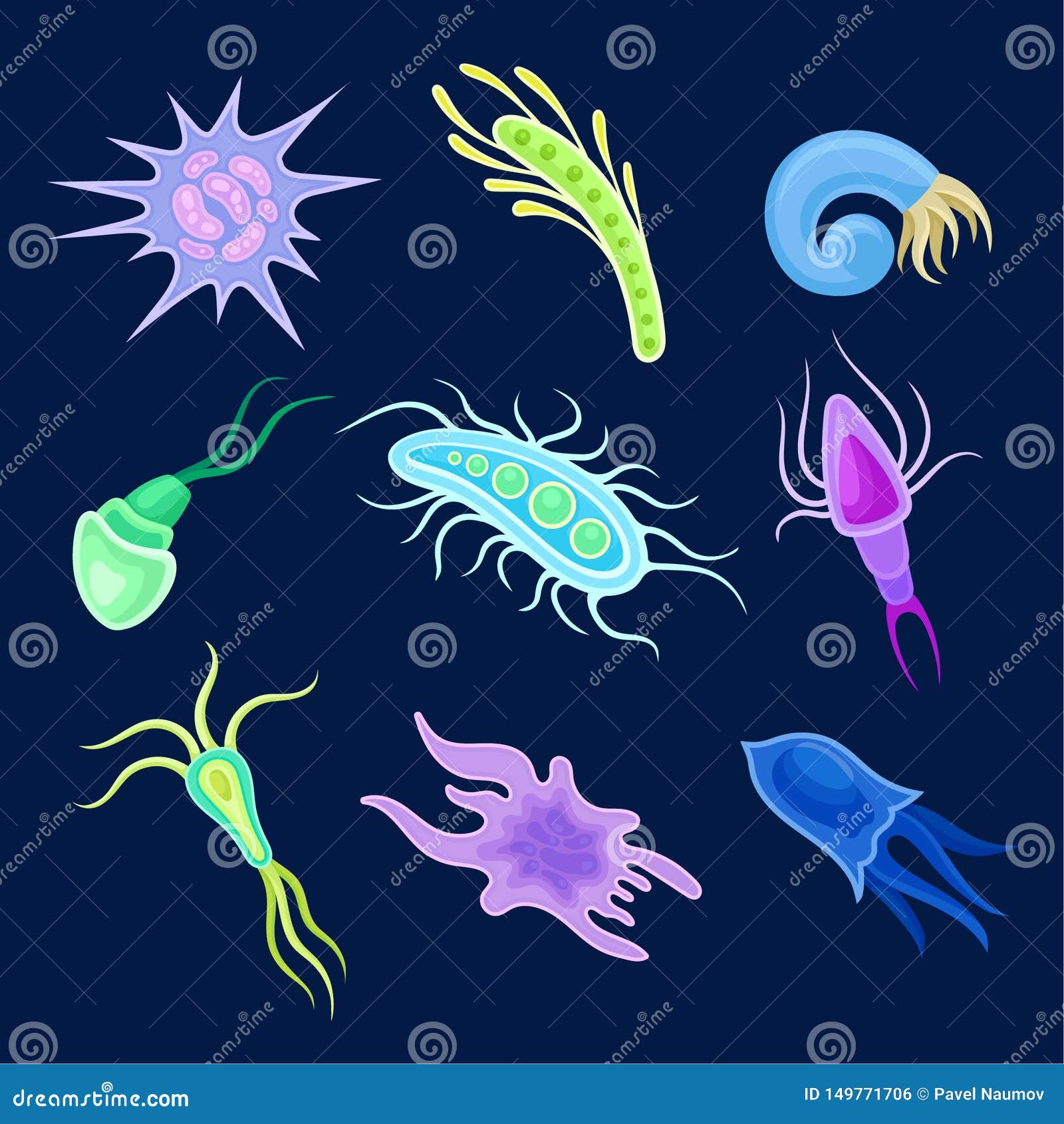 Set of Different Types of Plankton. Vector Illustration on Black ...